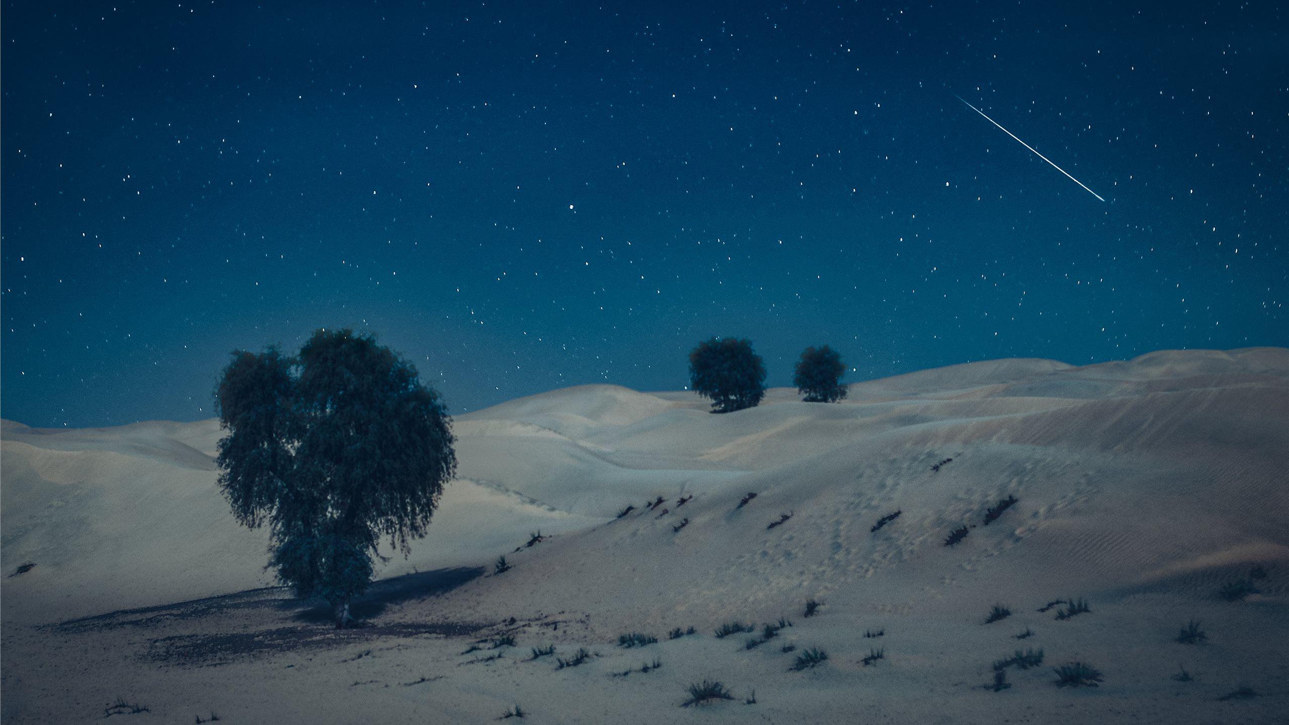 Desert Winter Wallpapers - Top Free Desert Winter Backgrounds ...