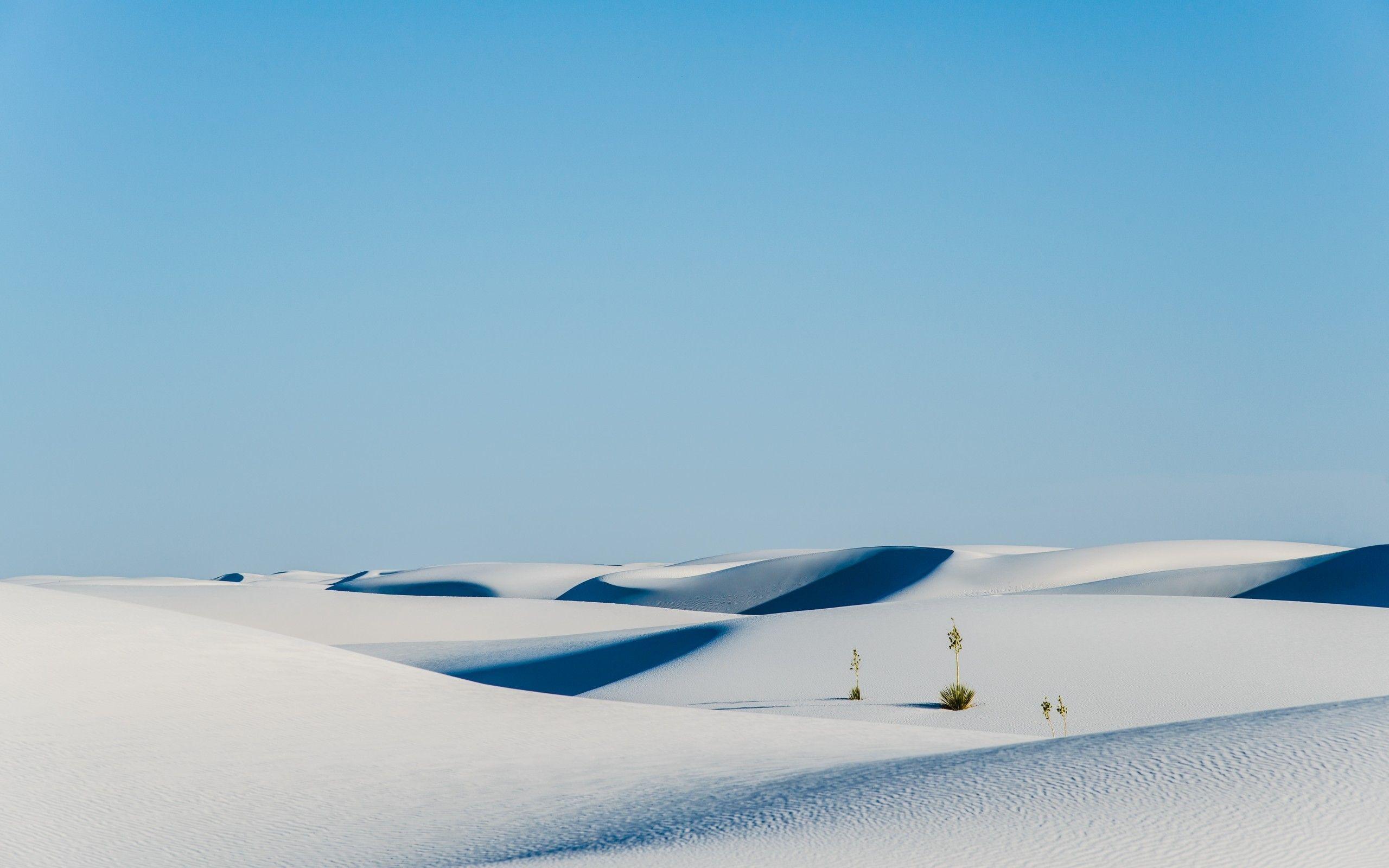 Desert Winter Wallpapers - Top Free Desert Winter Backgrounds ...