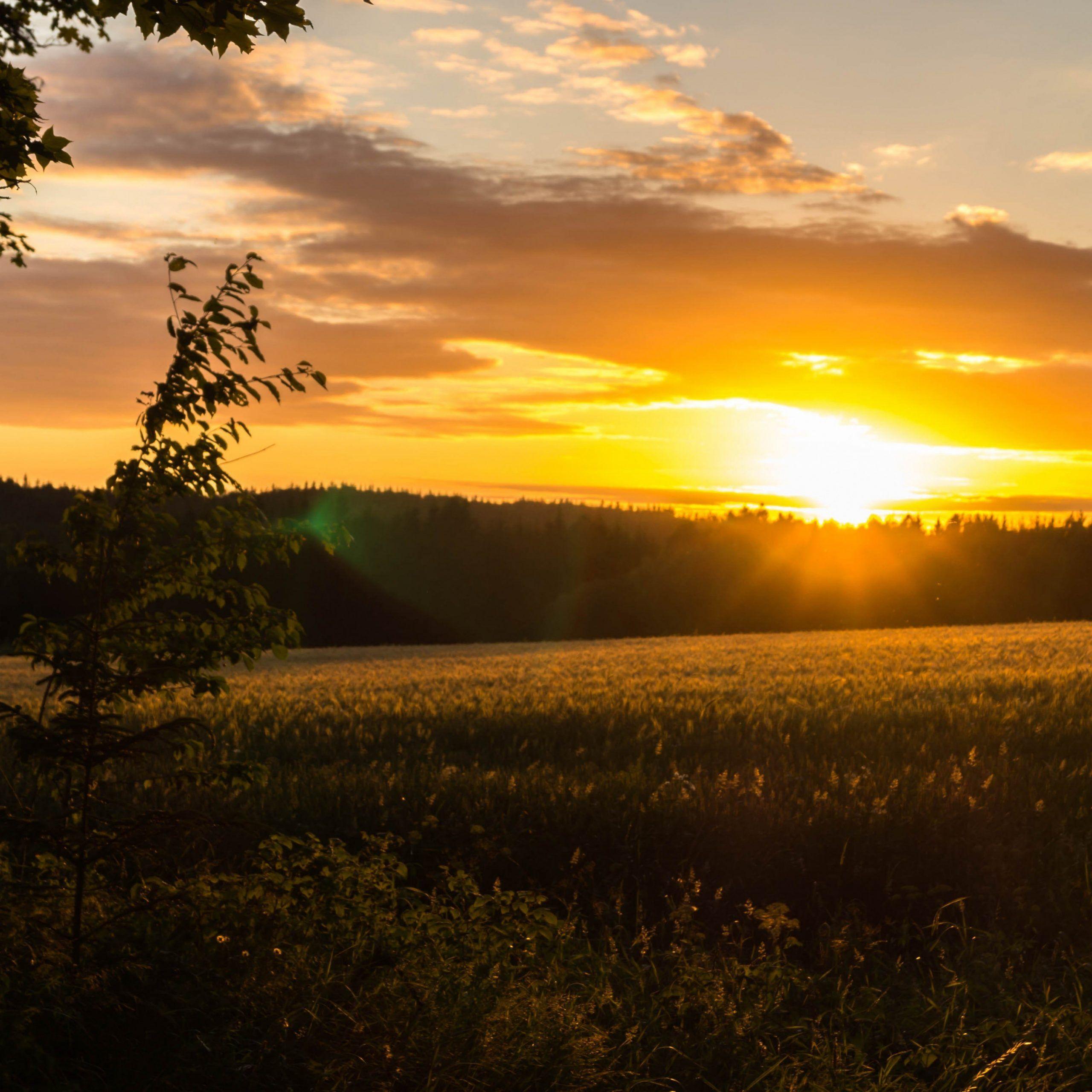 Sunset Landscape Wallpapers - Top Free Sunset Landscape Backgrounds ...