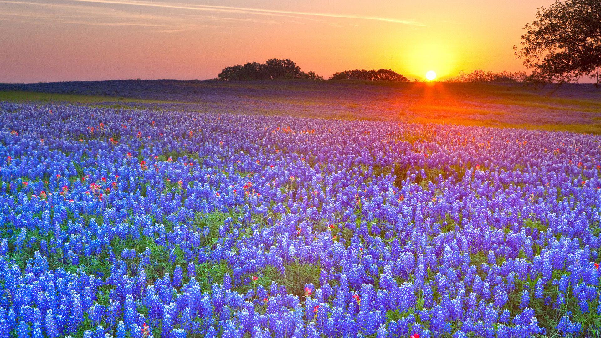 Country Landscape Wallpapers - Top Free Country Landscape Backgrounds ...