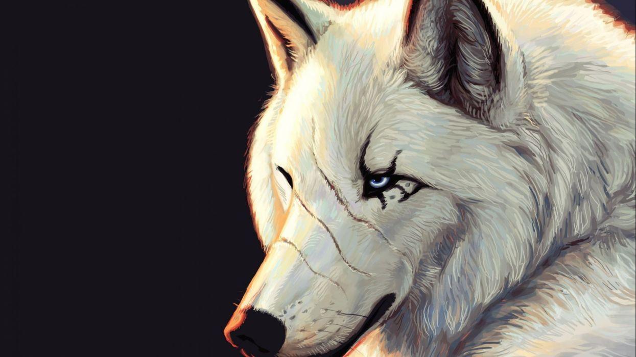 Wolves Art Wallpapers - Top Free Wolves Art Backgrounds - WallpaperAccess