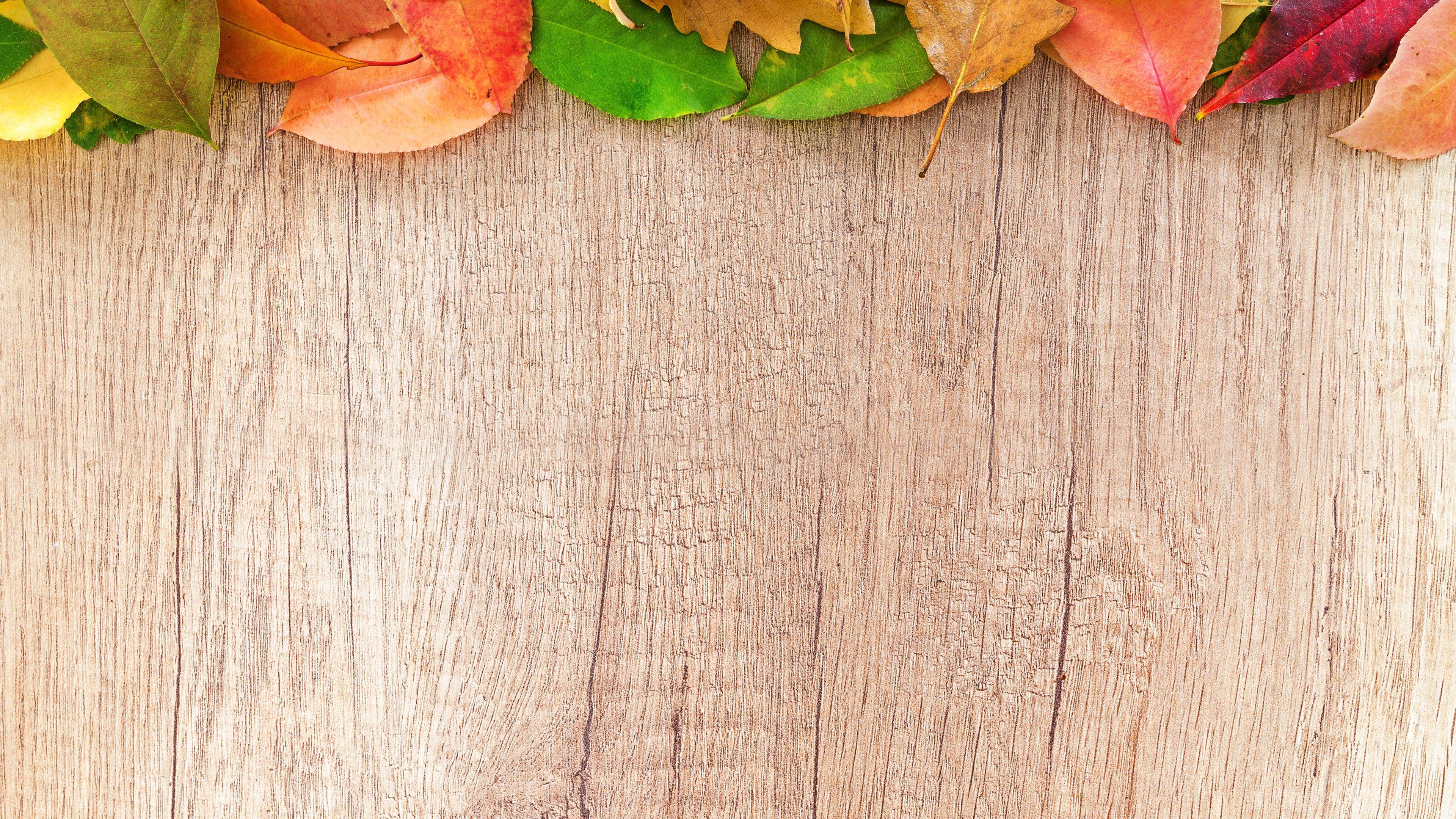 Fall Wood Wallpapers - Top Free Fall Wood Backgrounds - WallpaperAccess