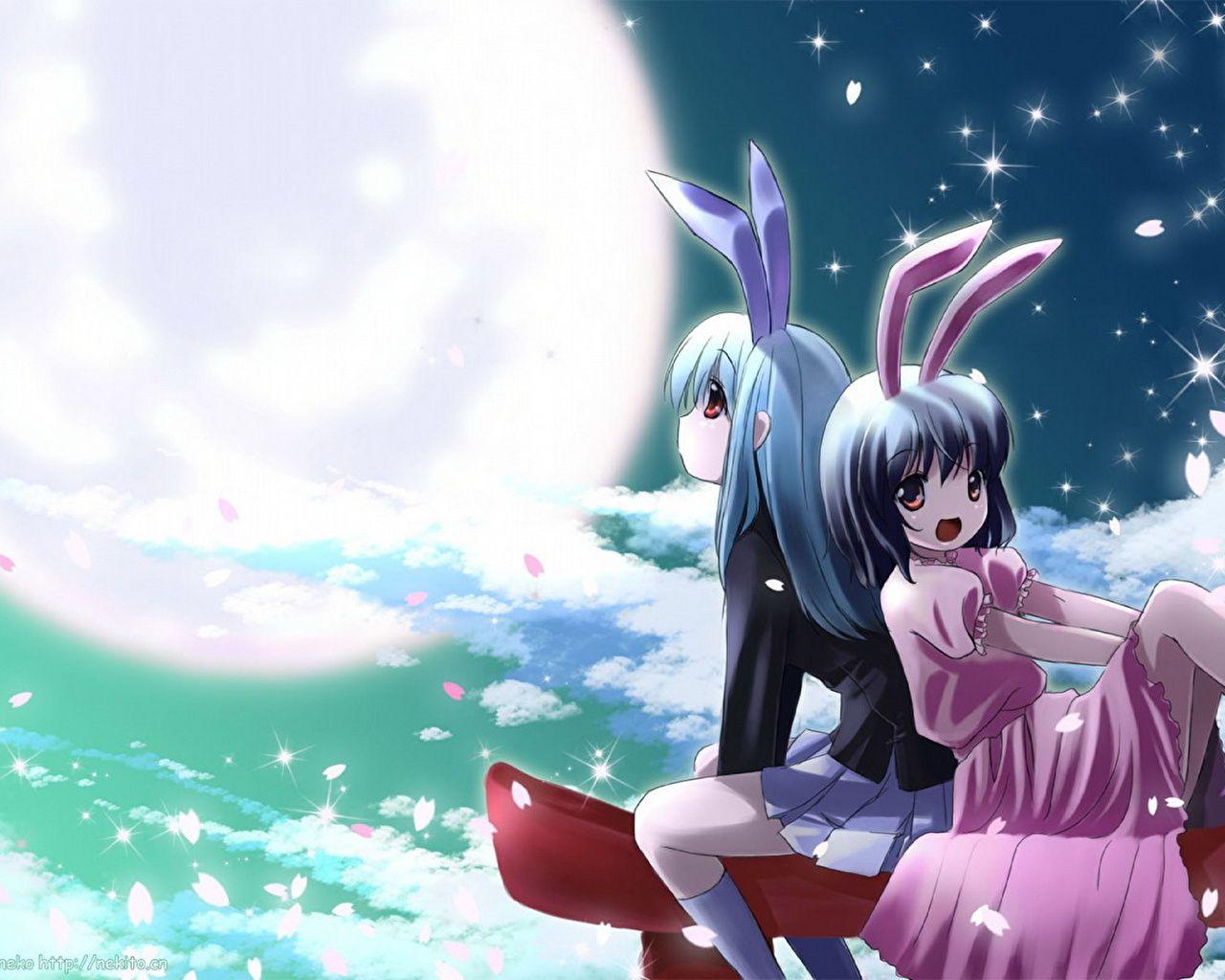 Rabbit Anime Wallpapers - Top Free Rabbit Anime Backgrounds ...