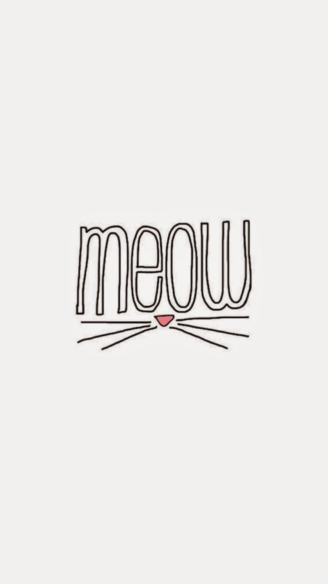 Meow Wallpapers - Top Free Meow Backgrounds - WallpaperAccess