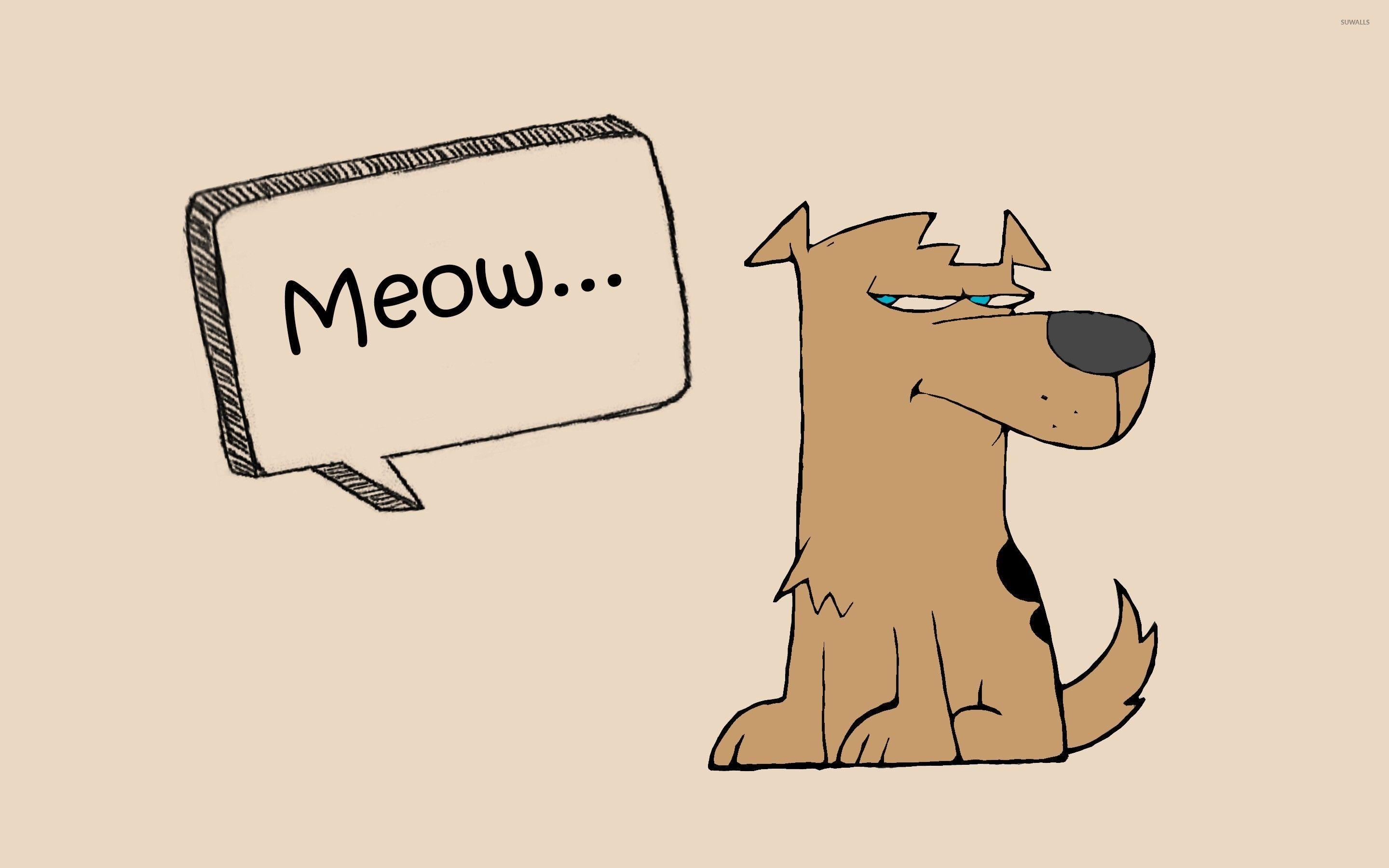 Meow Wallpapers - Top Free Meow Backgrounds - WallpaperAccess