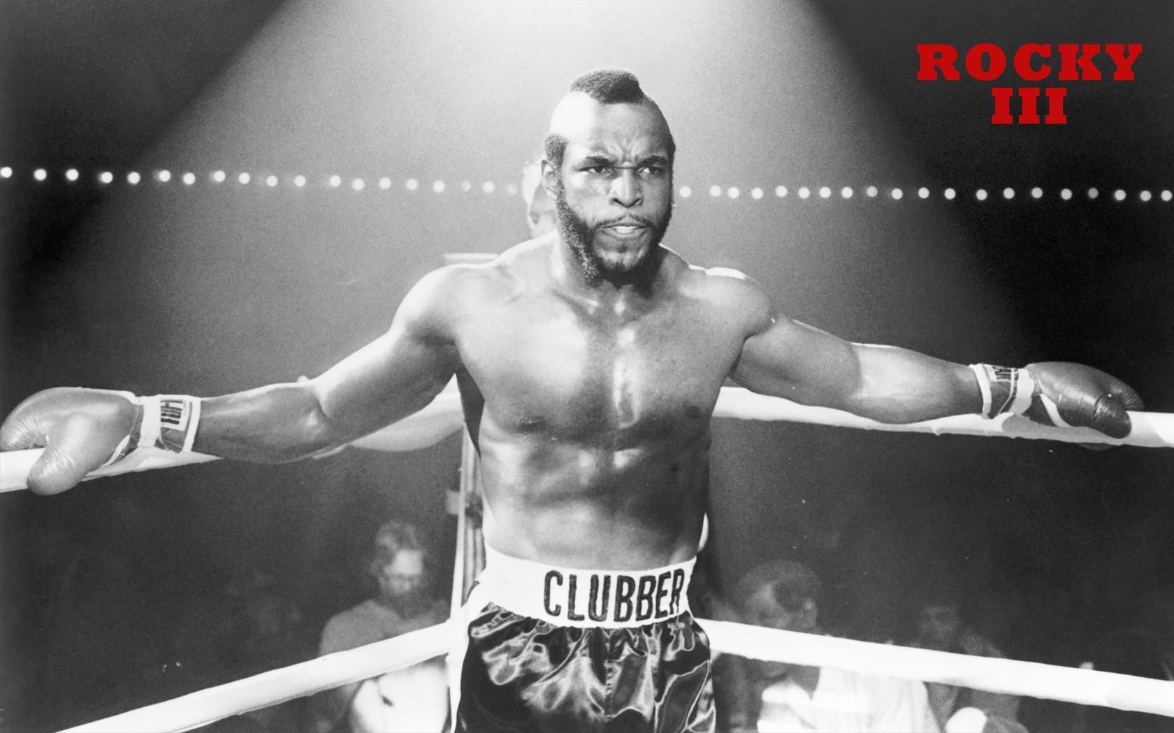 Rocky 3 Wallpapers - Top Free Rocky 3 Backgrounds - WallpaperAccess