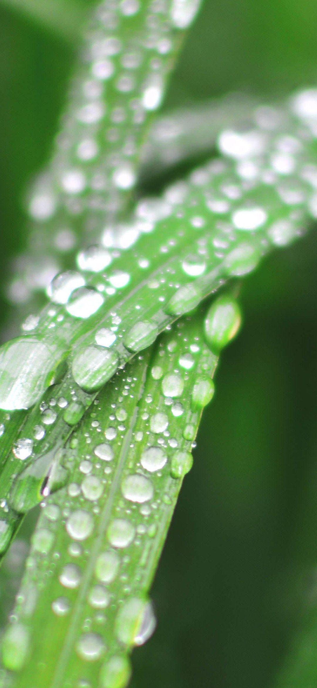 Oppo F11 HD Wallpapers - Top Free Oppo F11 HD Backgrounds - WallpaperAccess