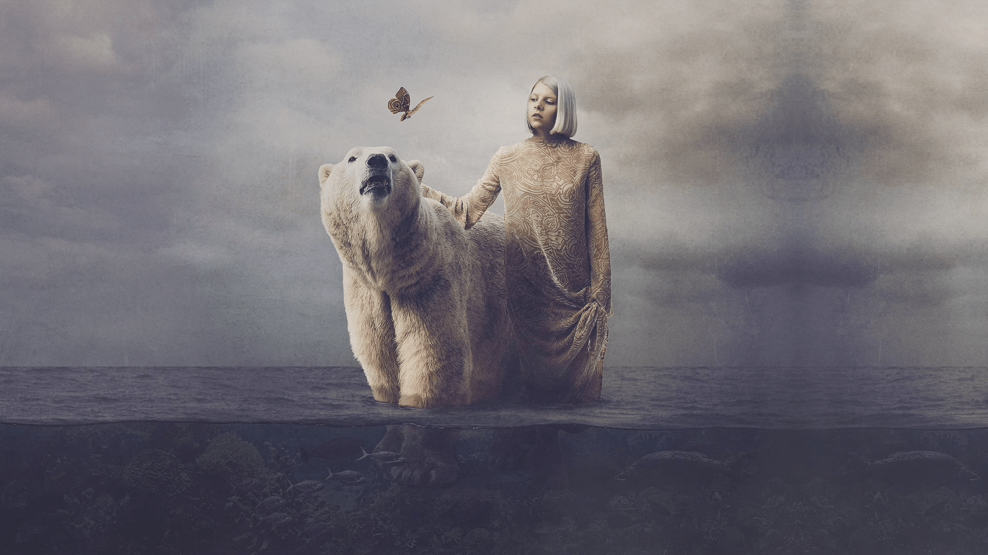 Aurora Singer Wallpapers - Top Free Aurora Singer Backgrounds ...