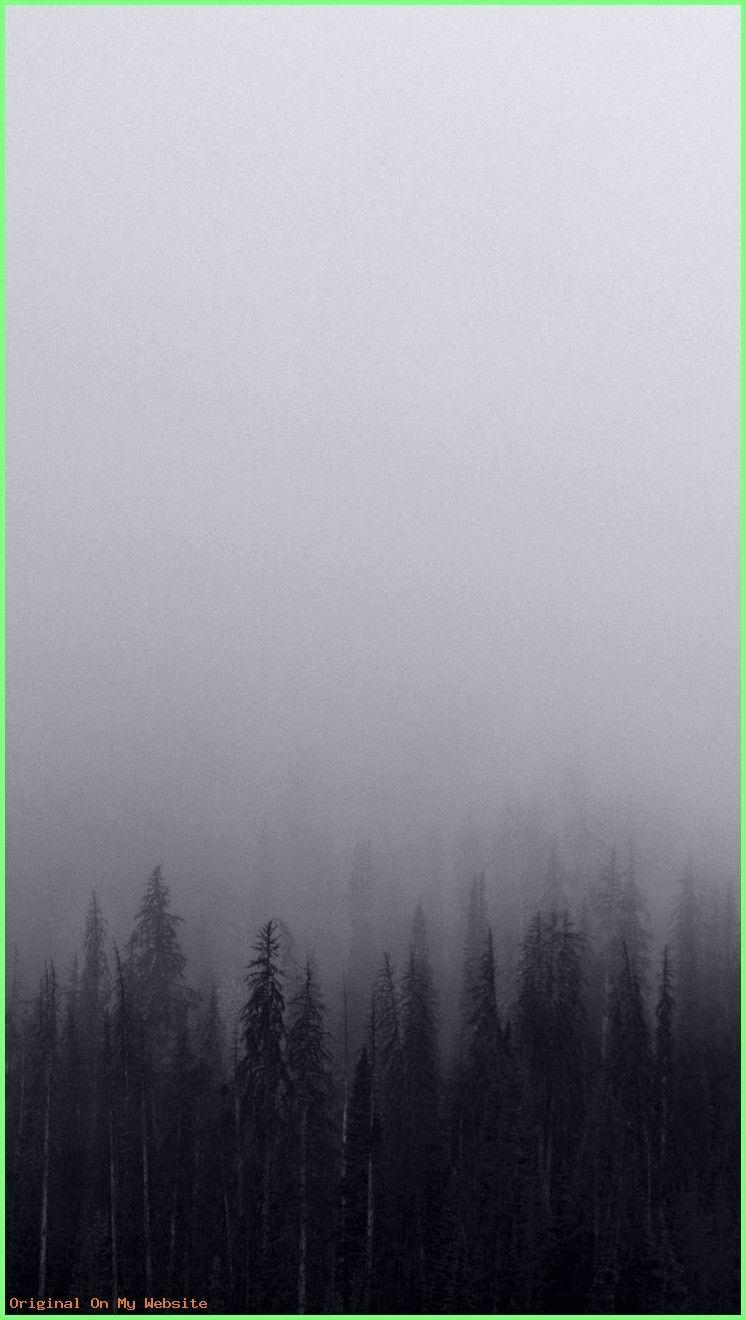 Gray Forest Wallpapers - Top Free Gray Forest Backgrounds - WallpaperAccess