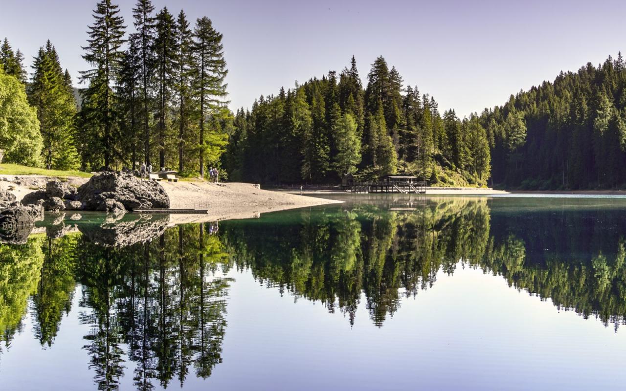 Evergreen Forest Wallpapers - Top Free Evergreen Forest Backgrounds ...