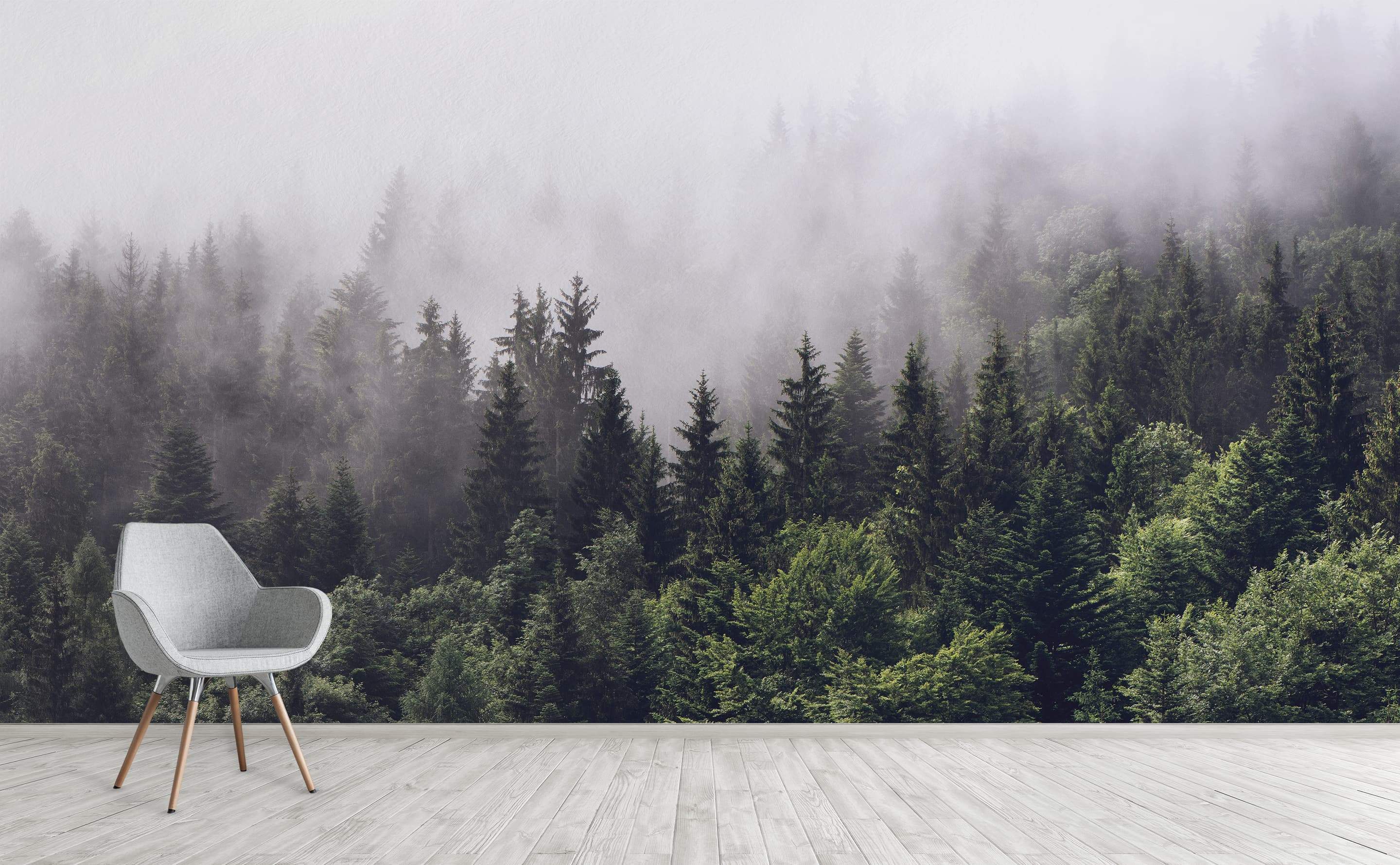 Evergreen Forest Wallpapers - Top Free Evergreen Forest Backgrounds ...