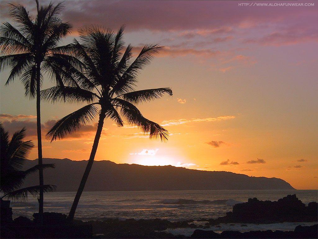 Oahu Sunset Wallpapers - Top Free Oahu Sunset Backgrounds - WallpaperAccess