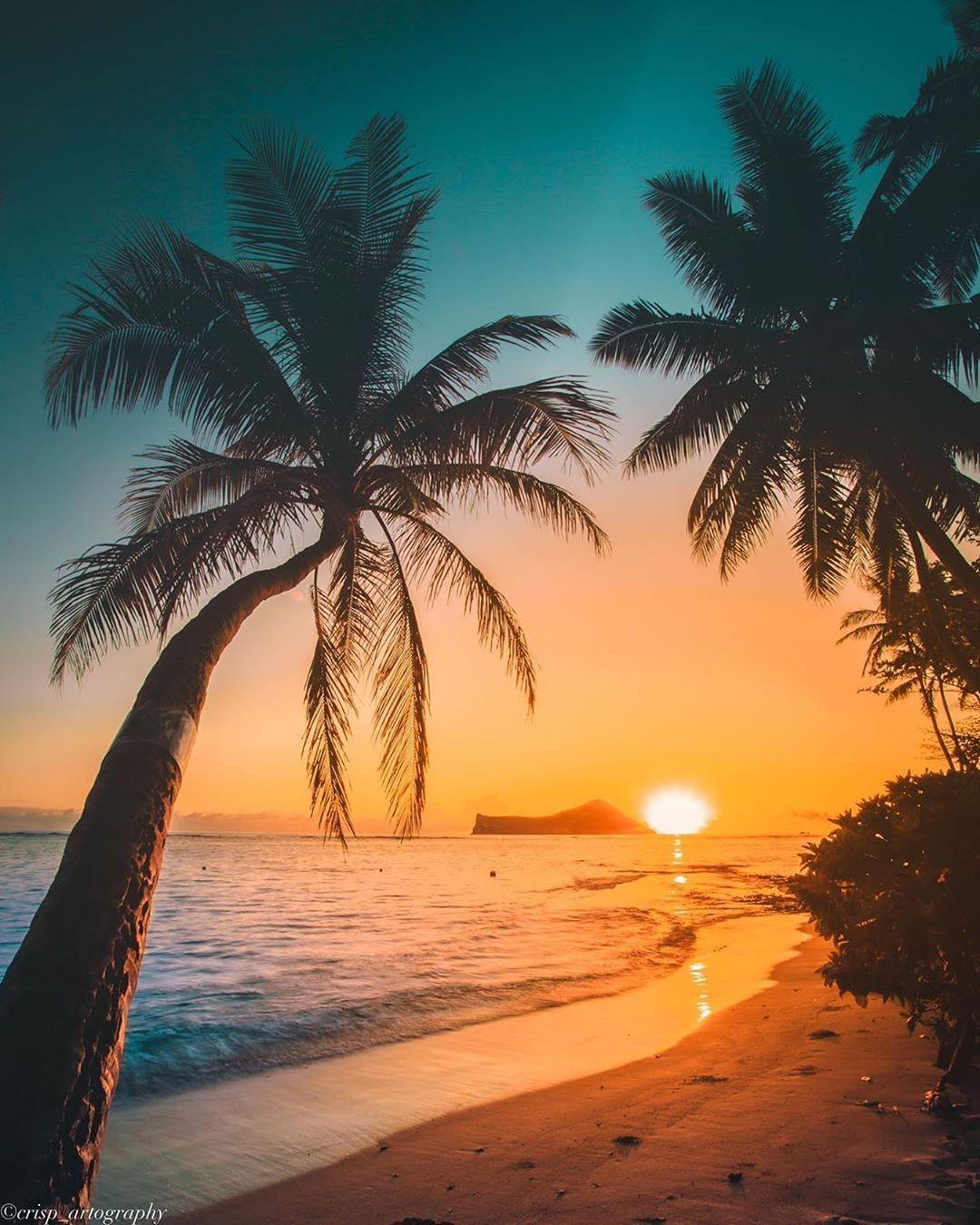 Oahu Sunset Wallpapers - Top Free Oahu Sunset Backgrounds - WallpaperAccess