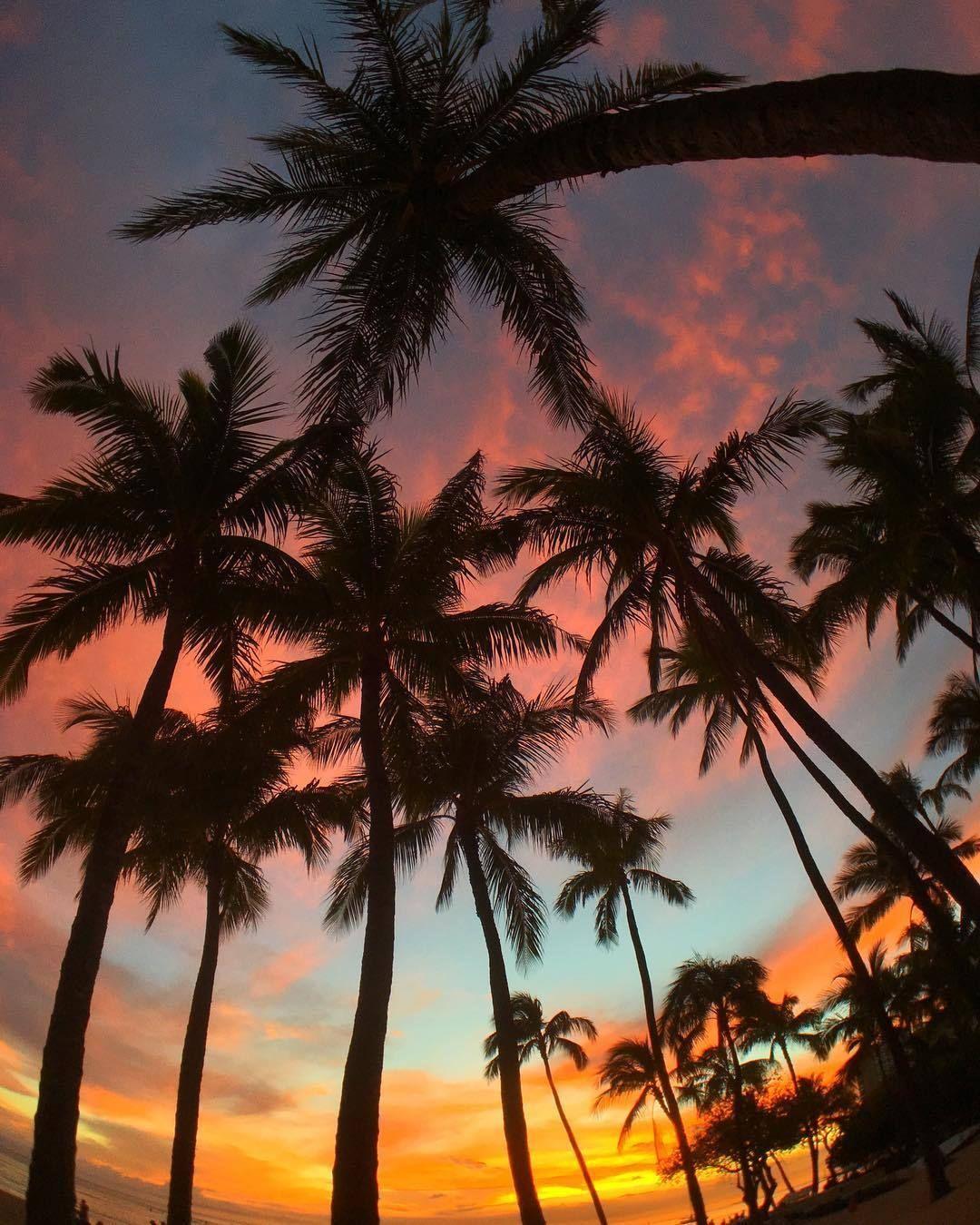 Waikiki Sunset Wallpapers - Top Free Waikiki Sunset Backgrounds ...