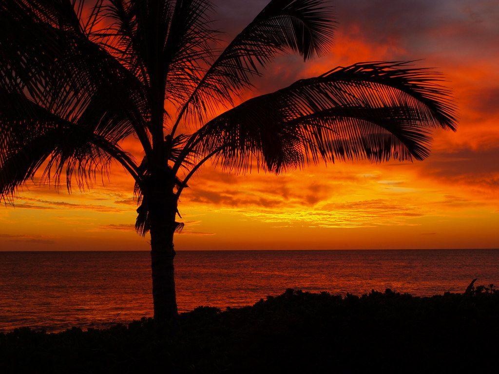 Oahu Sunset Wallpapers - Top Free Oahu Sunset Backgrounds - WallpaperAccess