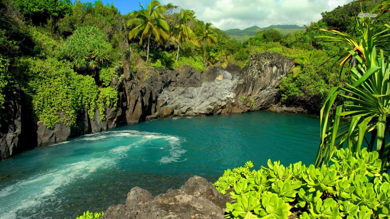 Maui Hawaii Wallpapers - Top Free Maui Hawaii Backgrounds - WallpaperAccess
