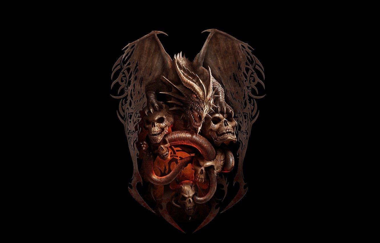 Skull and Dragon Wallpapers - Top Free Skull and Dragon Backgrounds ...