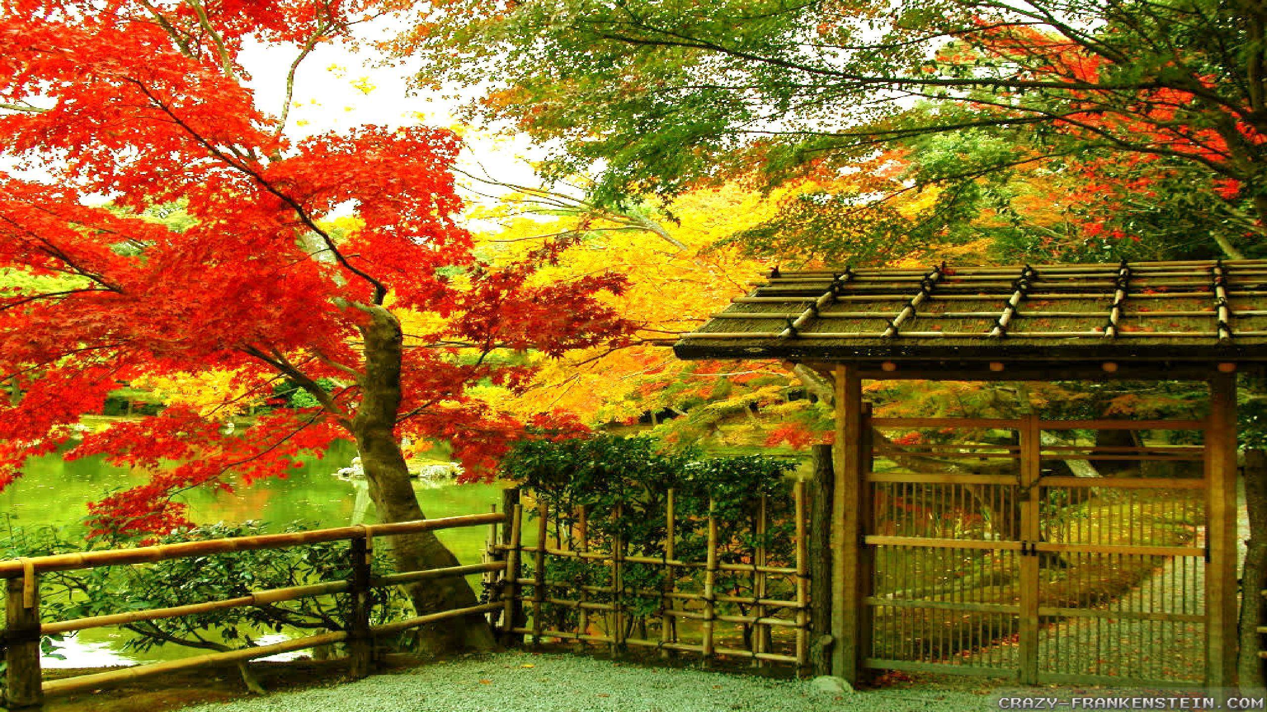 Japan Fall Wallpapers - Top Free Japan Fall Backgrounds - WallpaperAccess