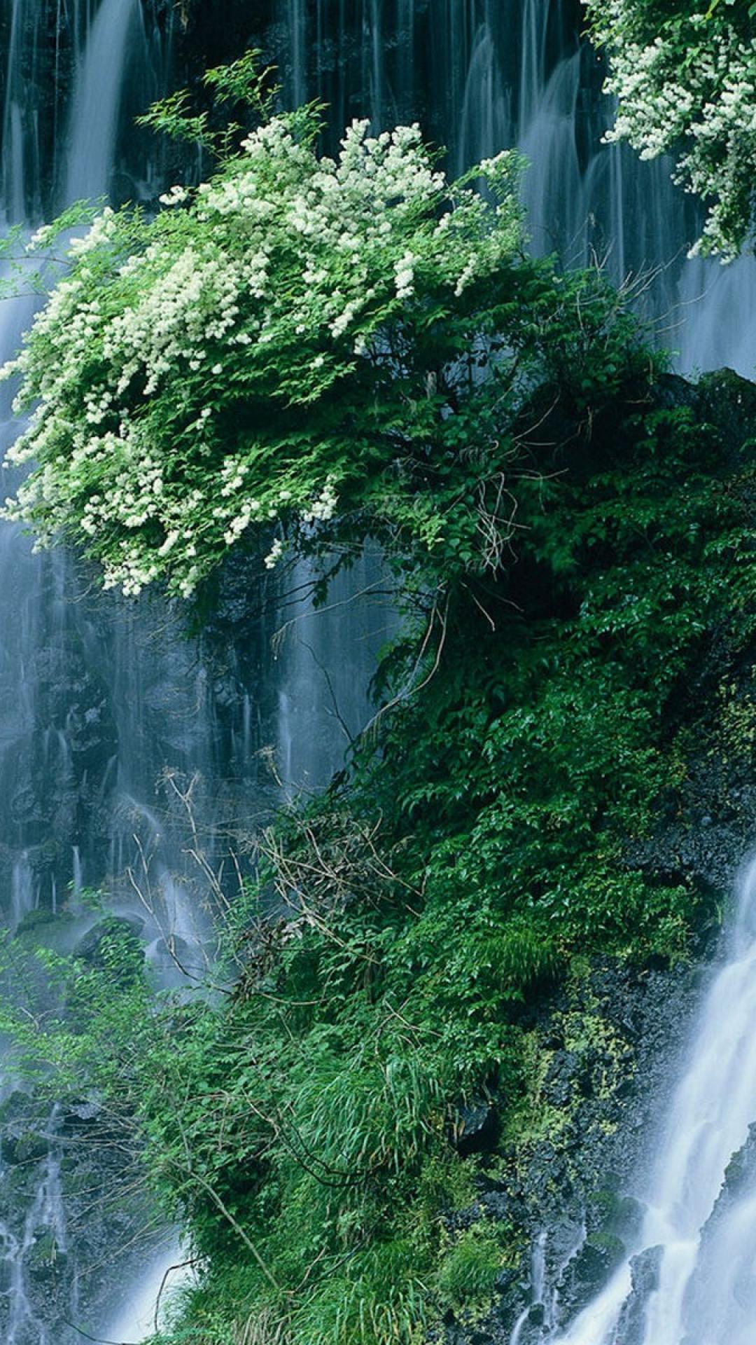 Japan Waterfall Wallpapers - Top Free Japan Waterfall Backgrounds ...