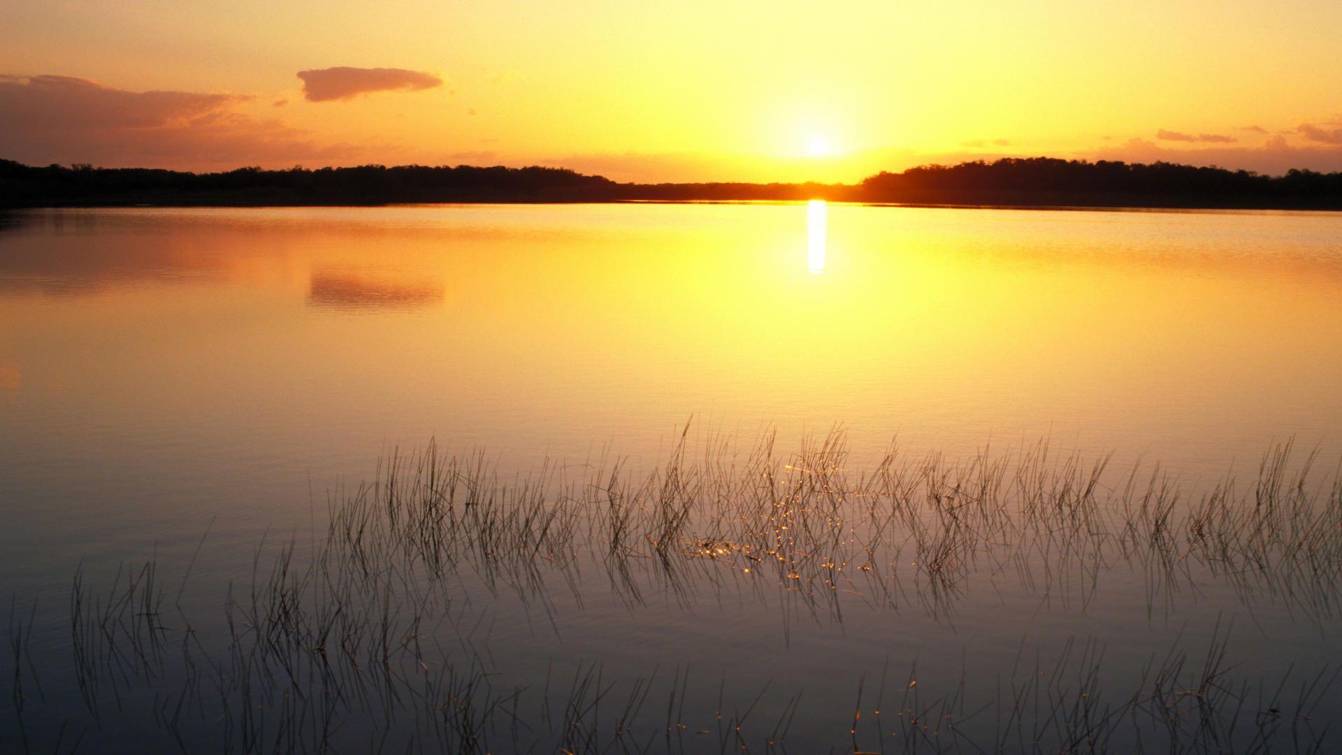 Cool Florida Wallpapers - Top Free Cool Florida Backgrounds ...