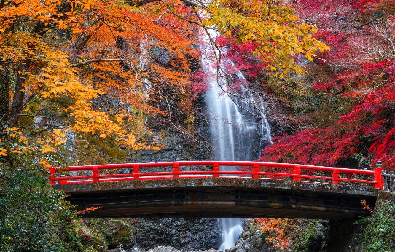 Japan Waterfall Wallpapers - Top Free Japan Waterfall Backgrounds ...