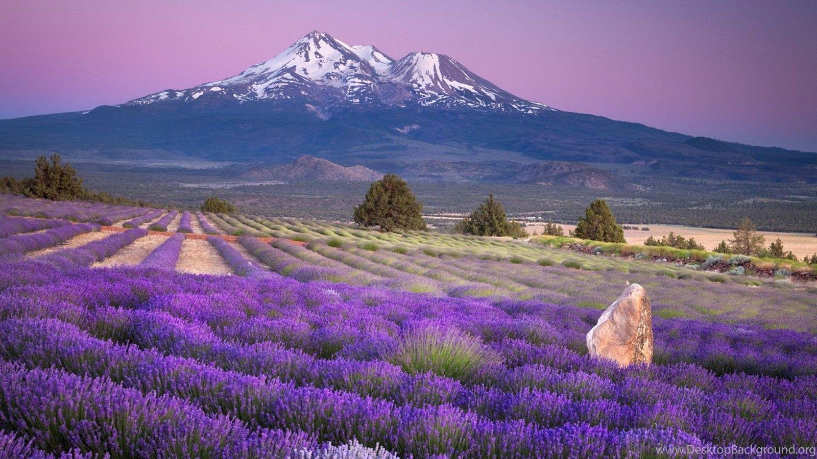 Pretty Scenery Wallpapers - Top Free Pretty Scenery Backgrounds ...