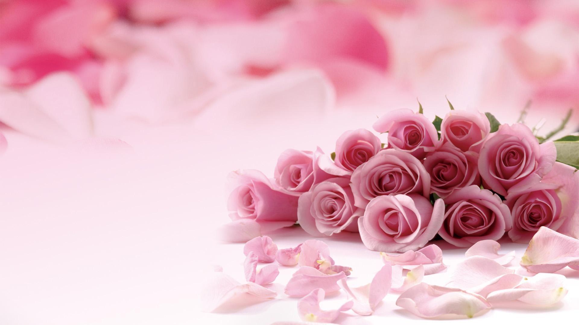 Pink Rose Desktop Wallpapers - Top Free Pink Rose Desktop Backgrounds ...