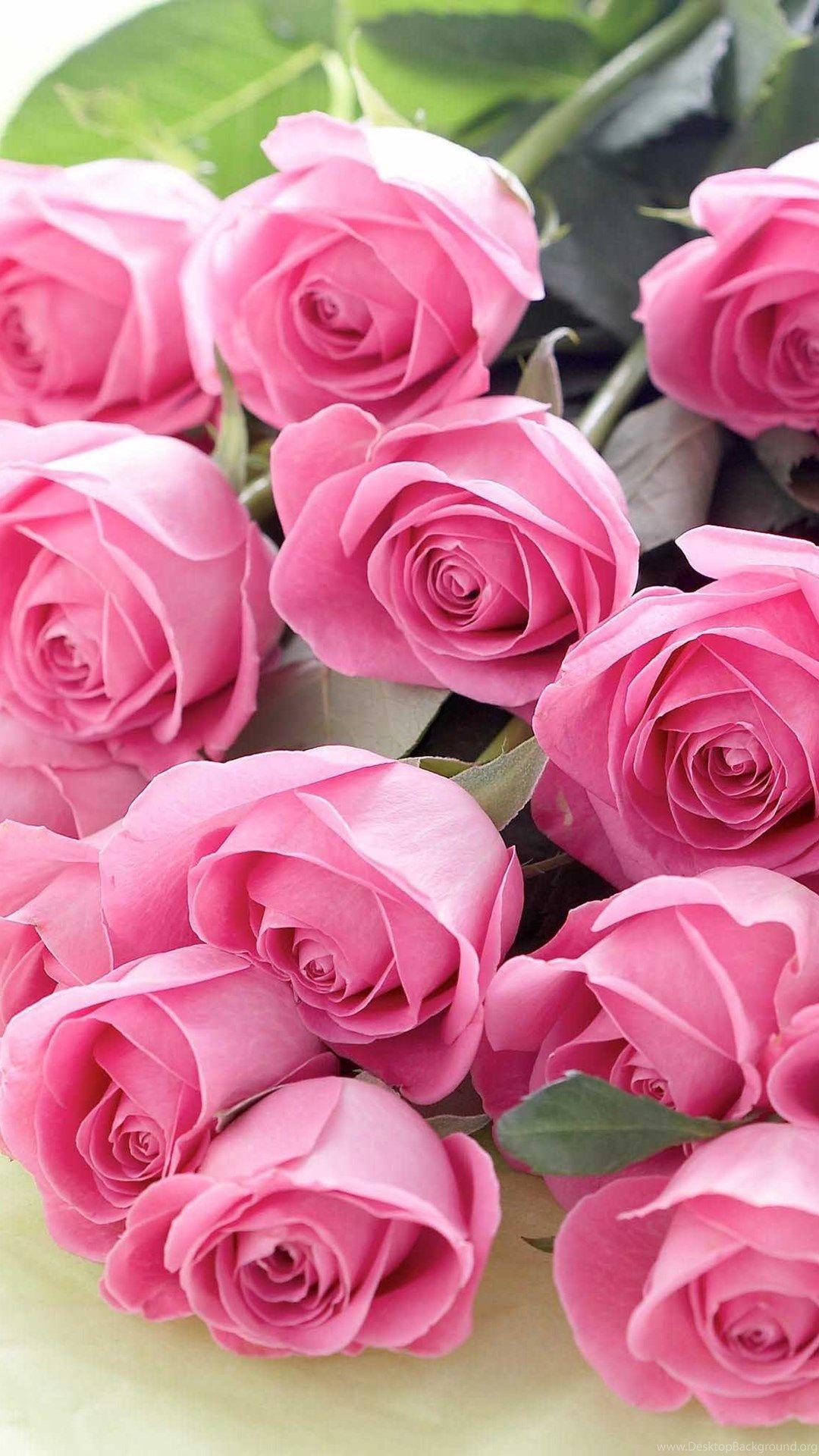 Rose Tablet Wallpapers - Top Free Rose Tablet Backgrounds - WallpaperAccess