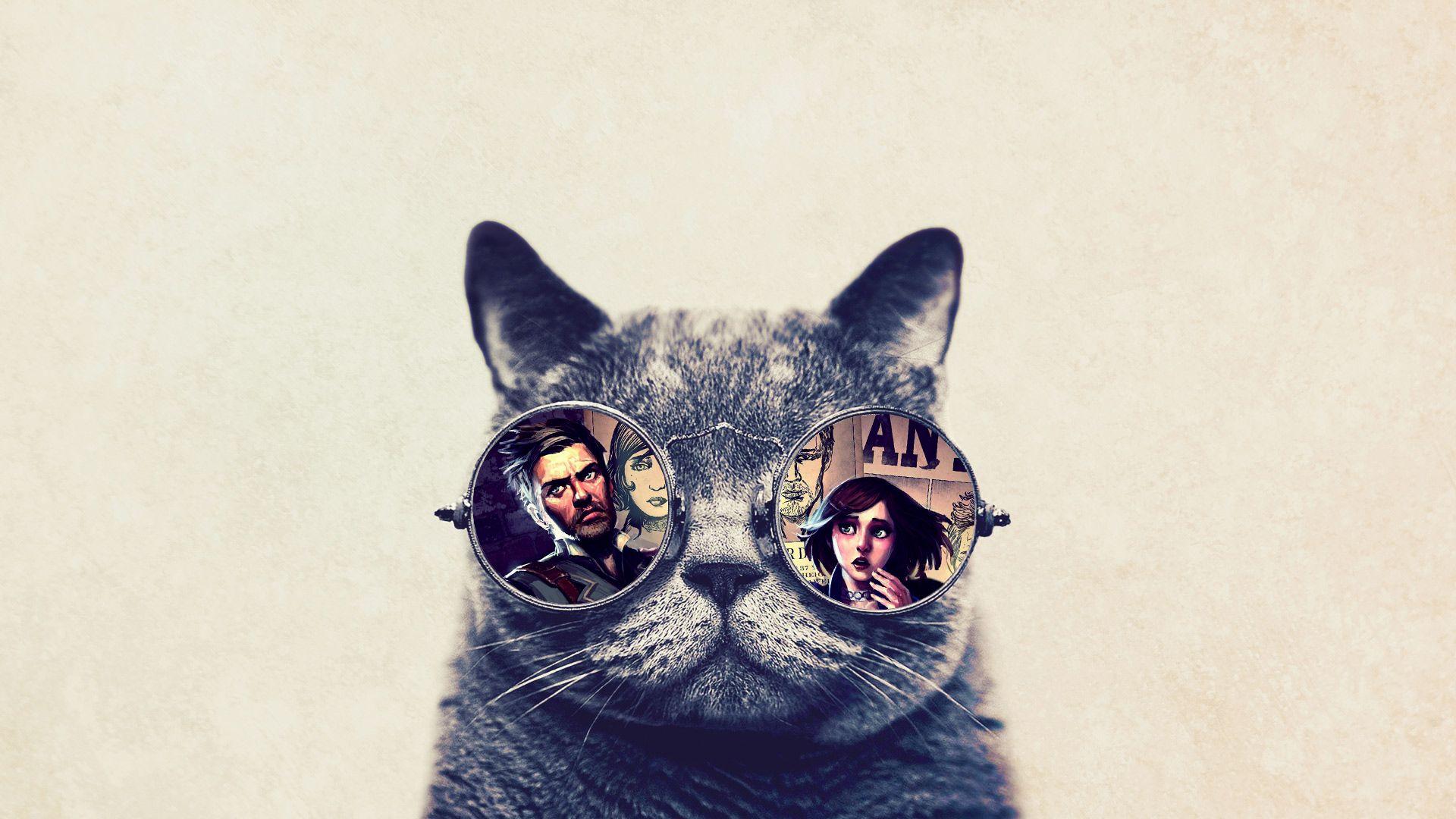 Hippie Cat Wallpapers - Top Free Hippie Cat Backgrounds - WallpaperAccess