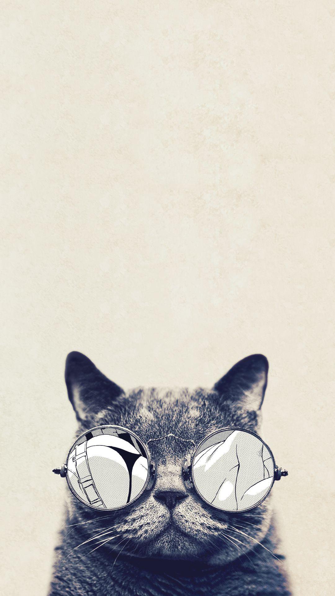 Hippie Cat Wallpapers - Top Free Hippie Cat Backgrounds - WallpaperAccess
