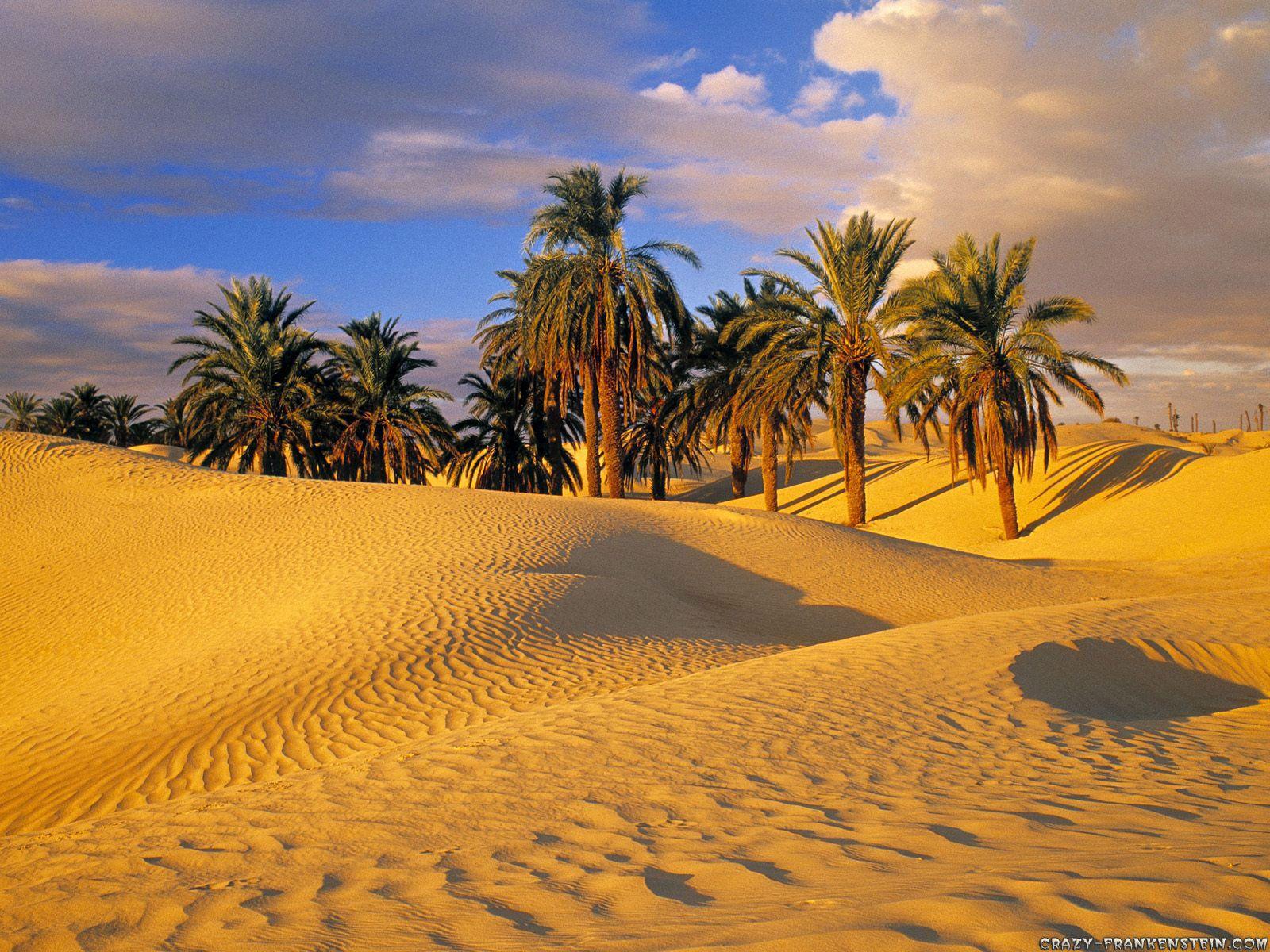 Desert Scenes Wallpapers - Top Free Desert Scenes Backgrounds ...