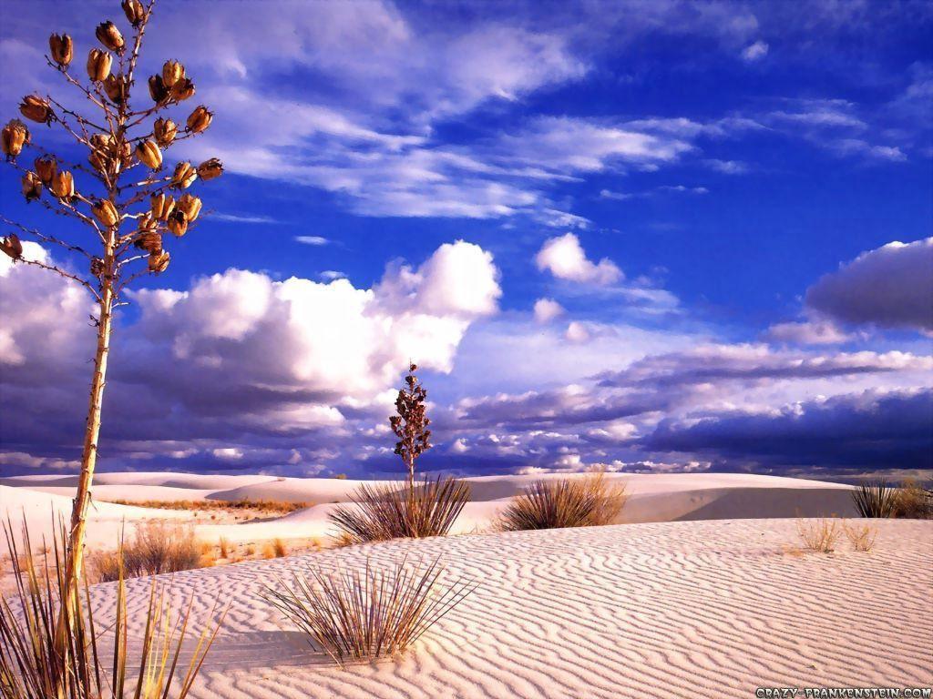 Desert Scenes Wallpapers - Top Free Desert Scenes Backgrounds ...