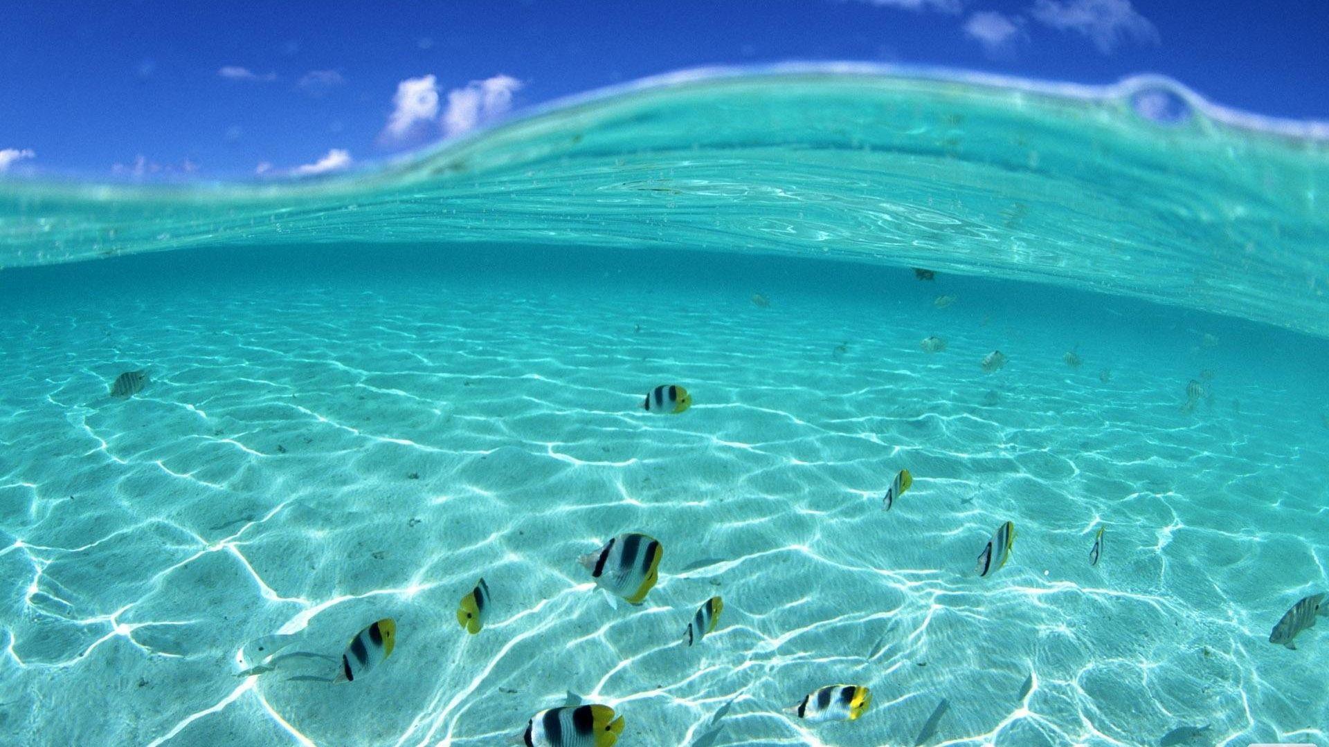 HD Sea Wallpapers - Top Free HD Sea Backgrounds - WallpaperAccess