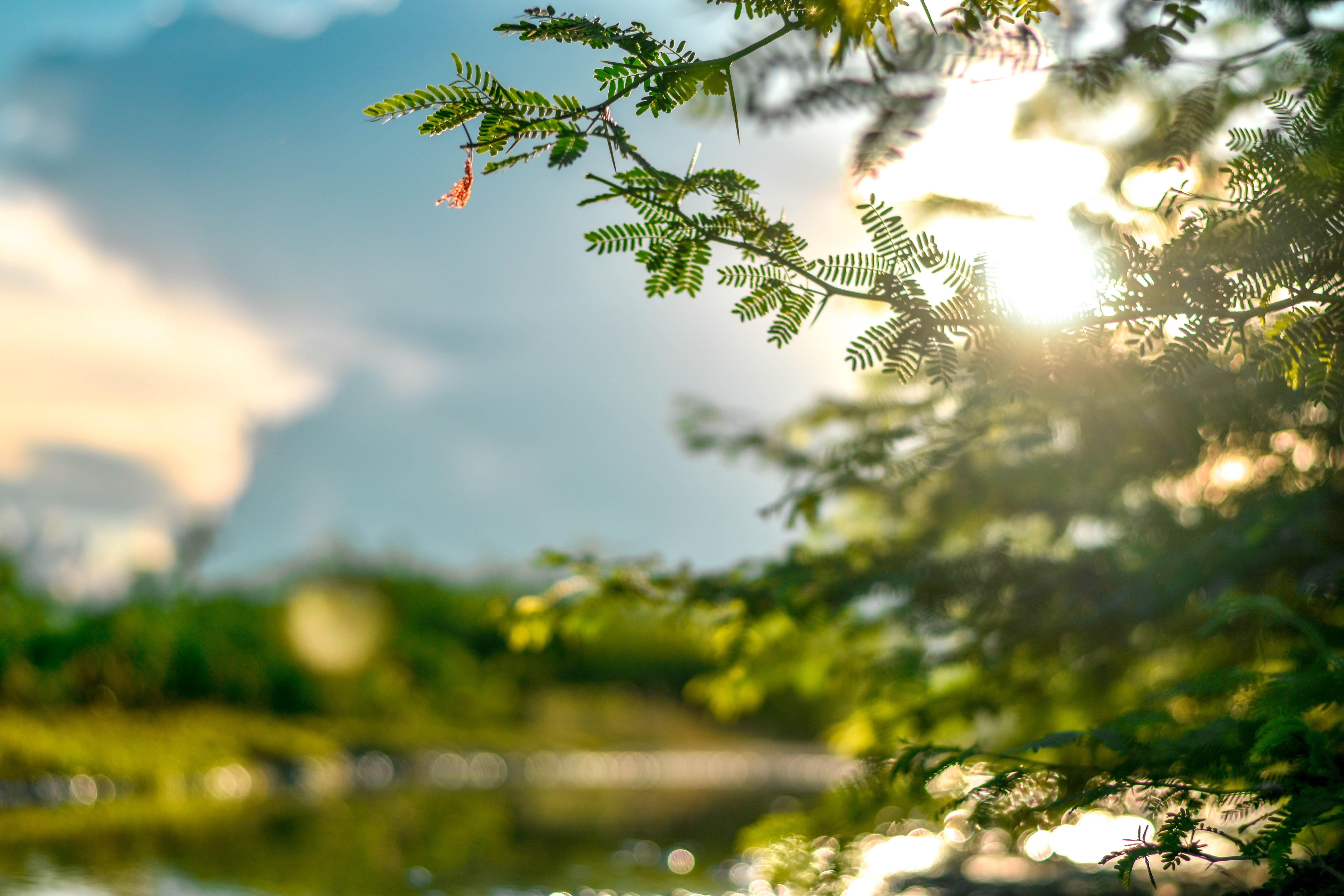 6000x4000 HD Wallpapers - Top Free 6000x4000 HD Backgrounds ...