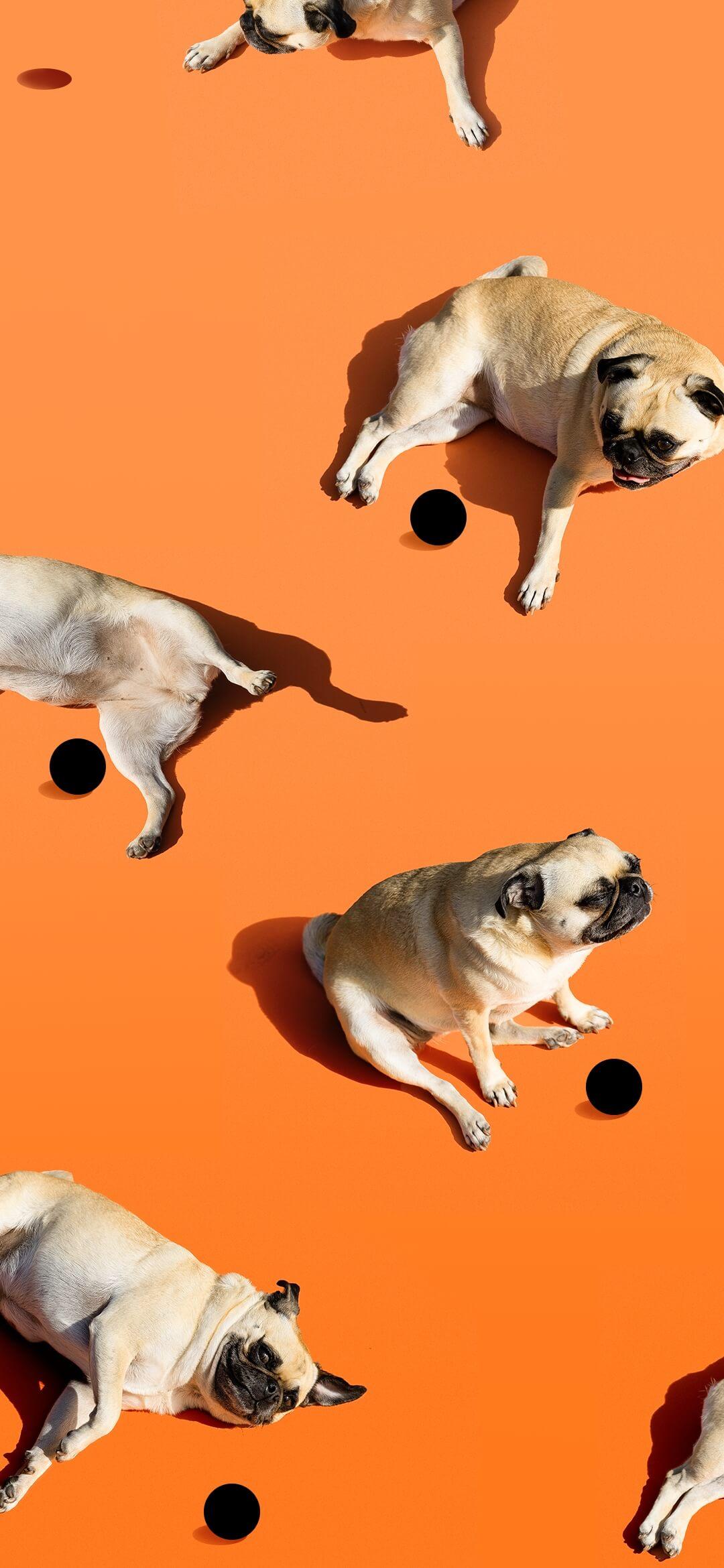 Google Pixel 4a Wallpapers - Top Free Google Pixel 4a Backgrounds ...