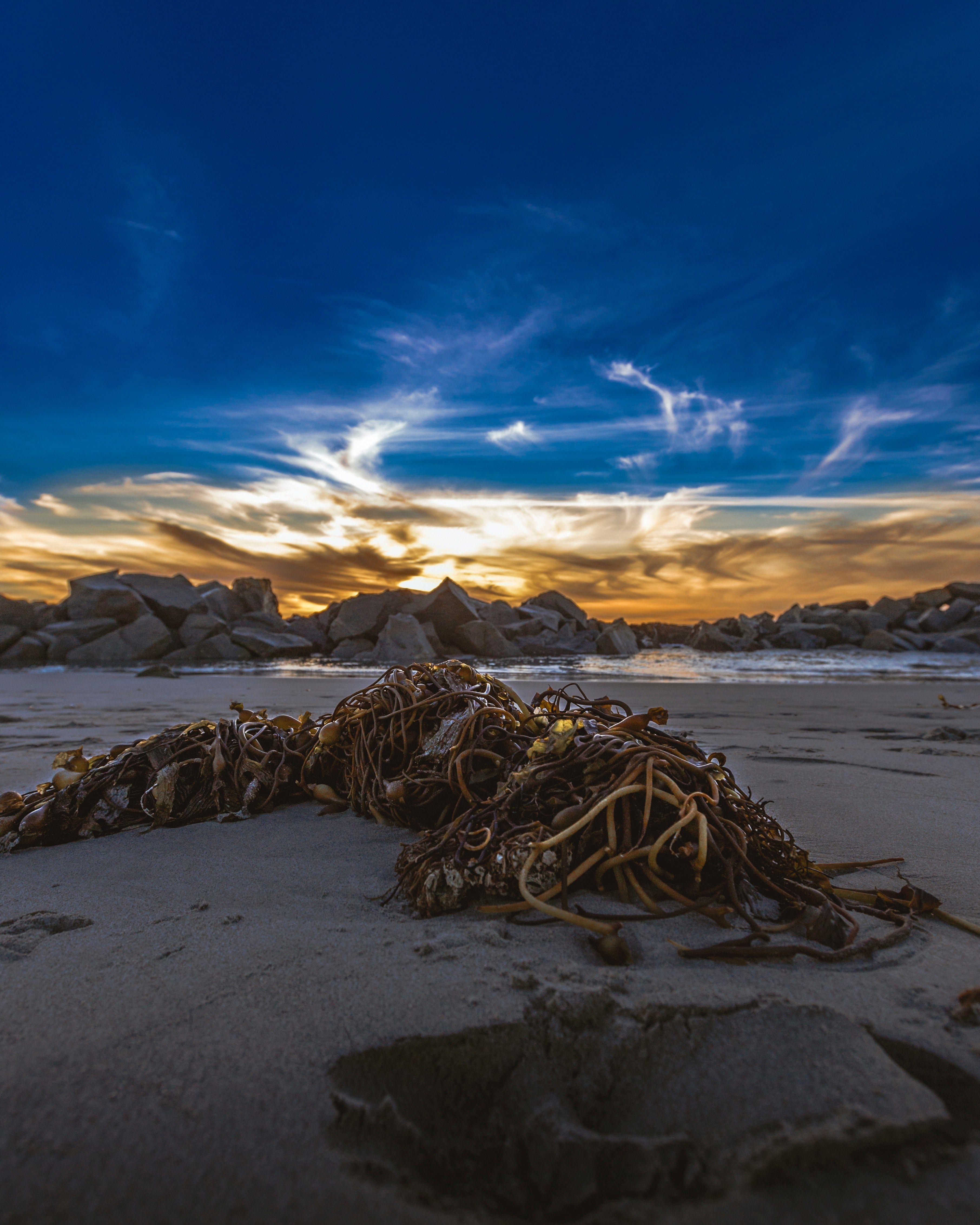 West Coast Wallpapers - Top Free West Coast Backgrounds - WallpaperAccess