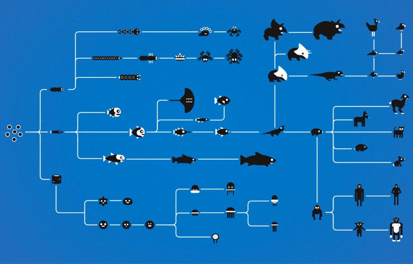 Minimalist Biology Wallpapers - Top Free Minimalist Biology Backgrounds ...