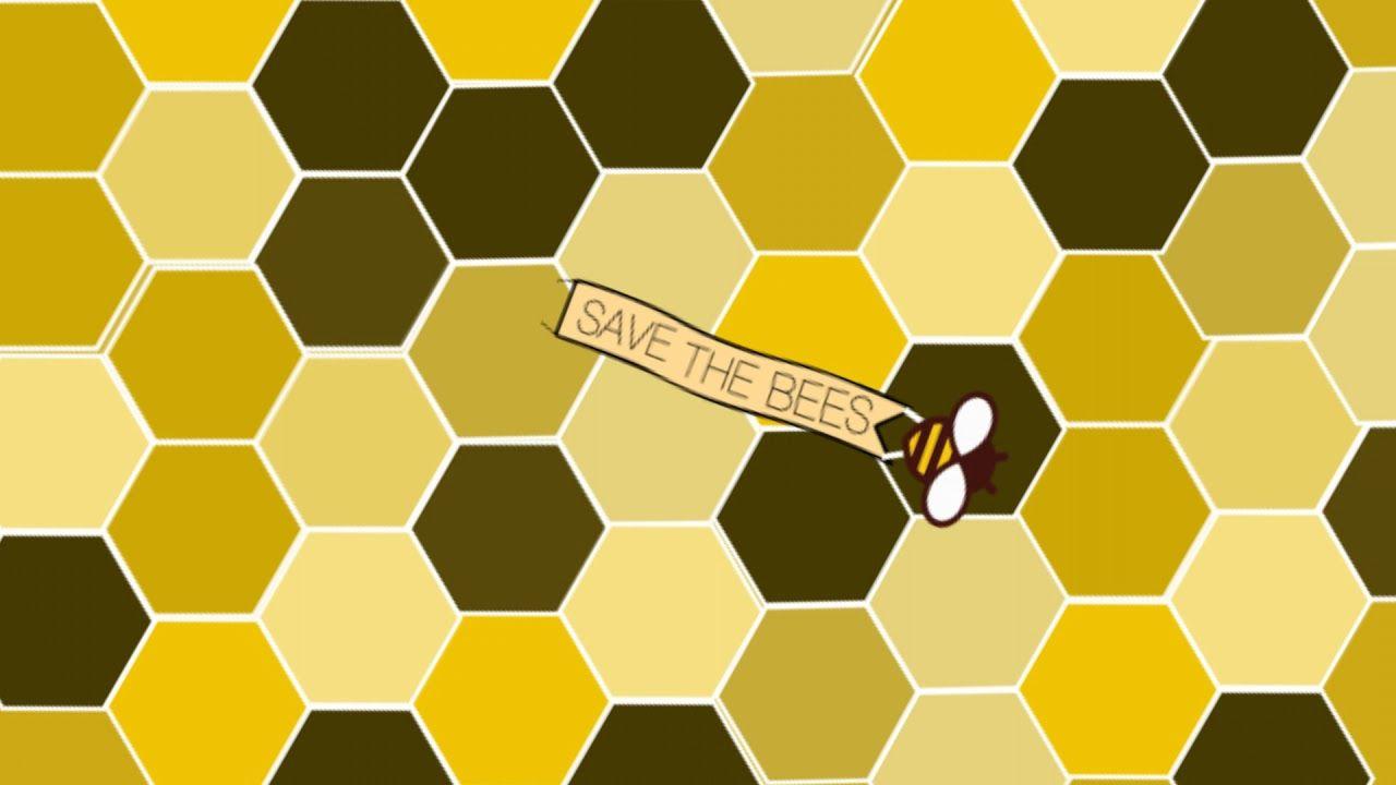 Save the Bees Wallpapers - Top Free Save the Bees Backgrounds ...