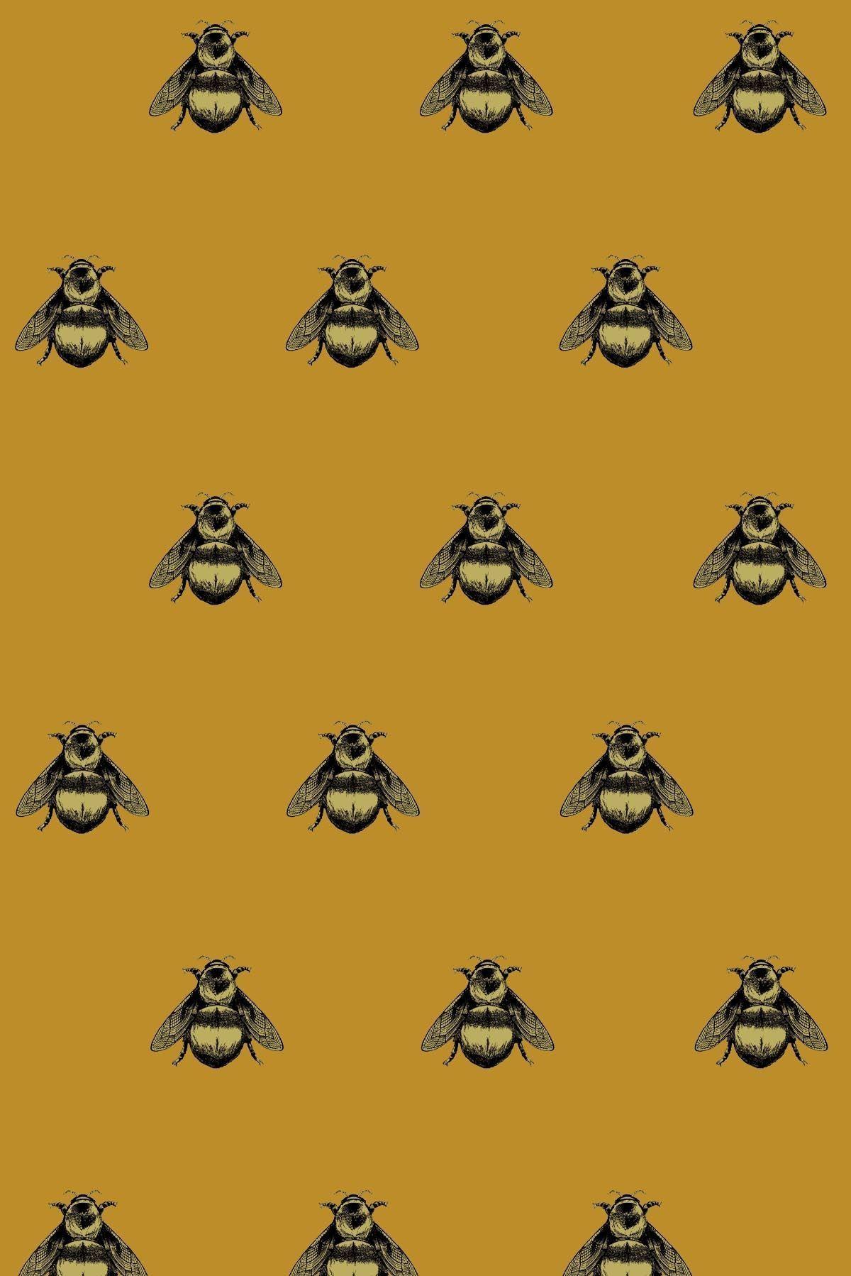 Bees iPhone Wallpapers - Top Free Bees iPhone Backgrounds - WallpaperAccess