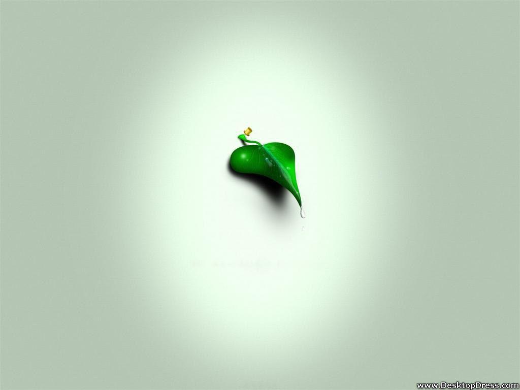 Single Leaf Wallpapers - Top Free Single Leaf Backgrounds - WallpaperAccess