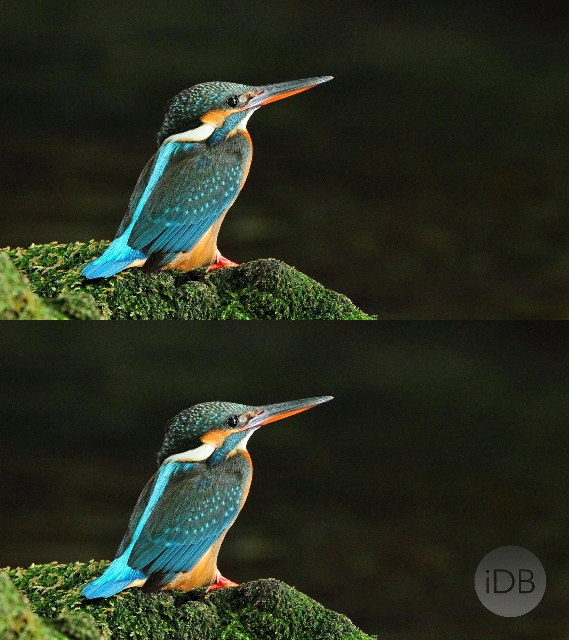 Watermark Wallpapers - Top Free Watermark Backgrounds - WallpaperAccess