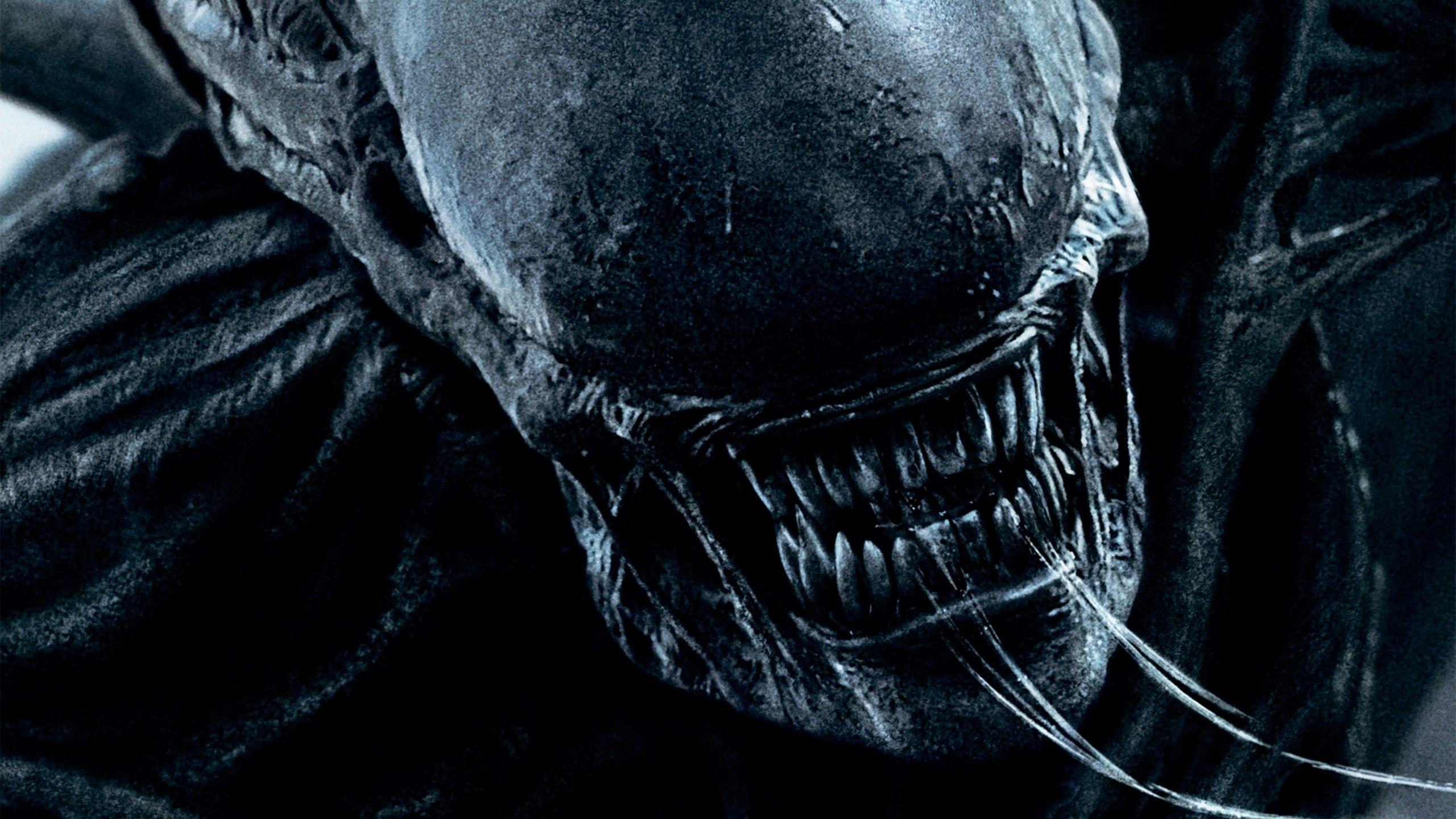 Alien Covenant Wallpapers - Top Free Alien Covenant Backgrounds ...