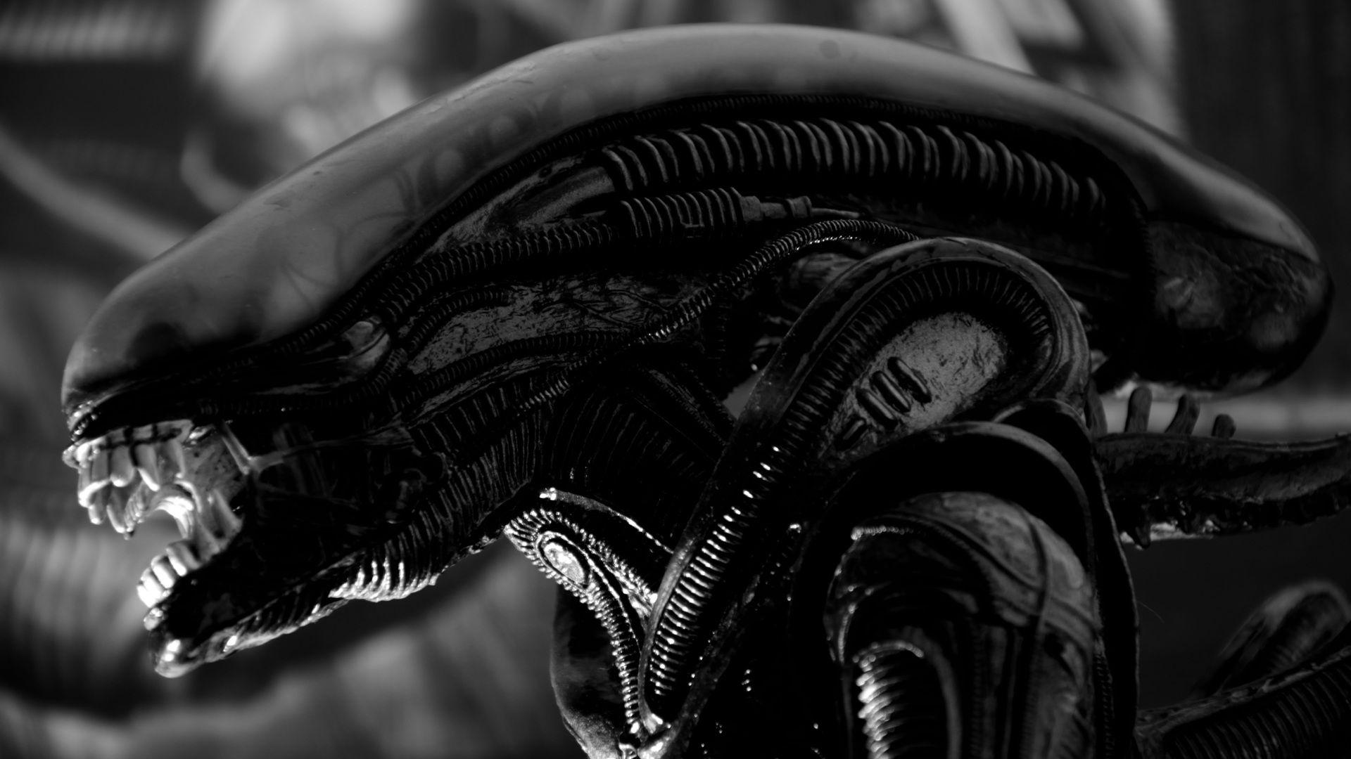 Alien Covenant Wallpapers - Top Free Alien Covenant Backgrounds ...