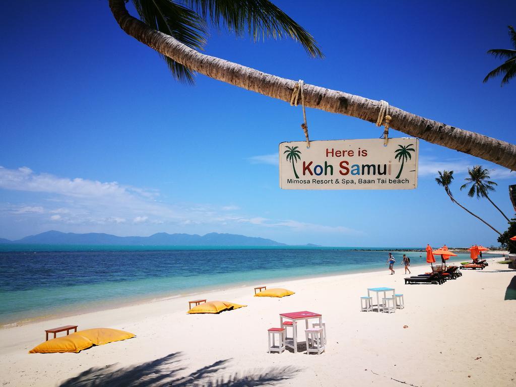 Koh Samui Wallpapers - Top Free Koh Samui Backgrounds - WallpaperAccess