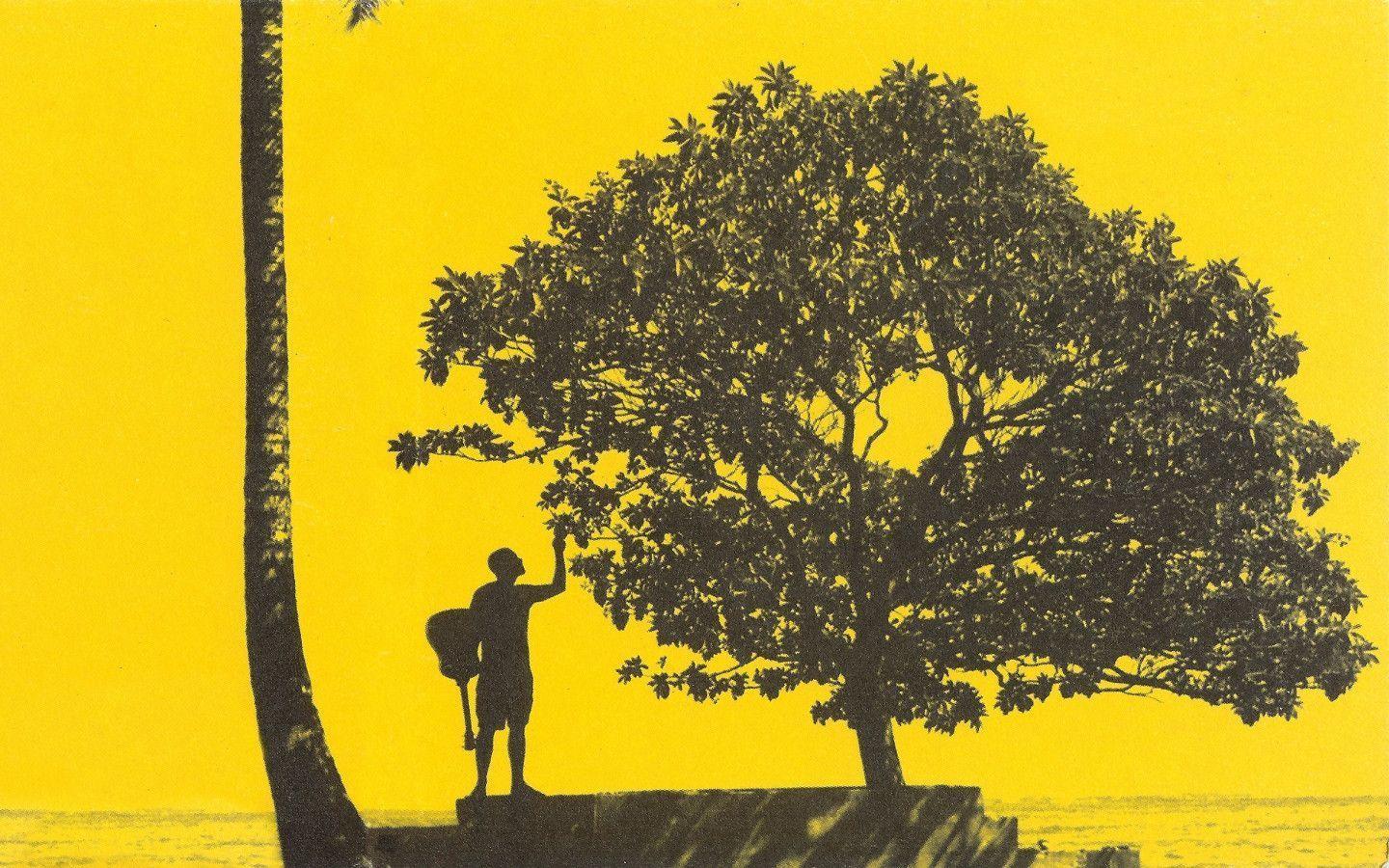 Jack Johnson Wallpapers - Top Free Jack Johnson Backgrounds ...