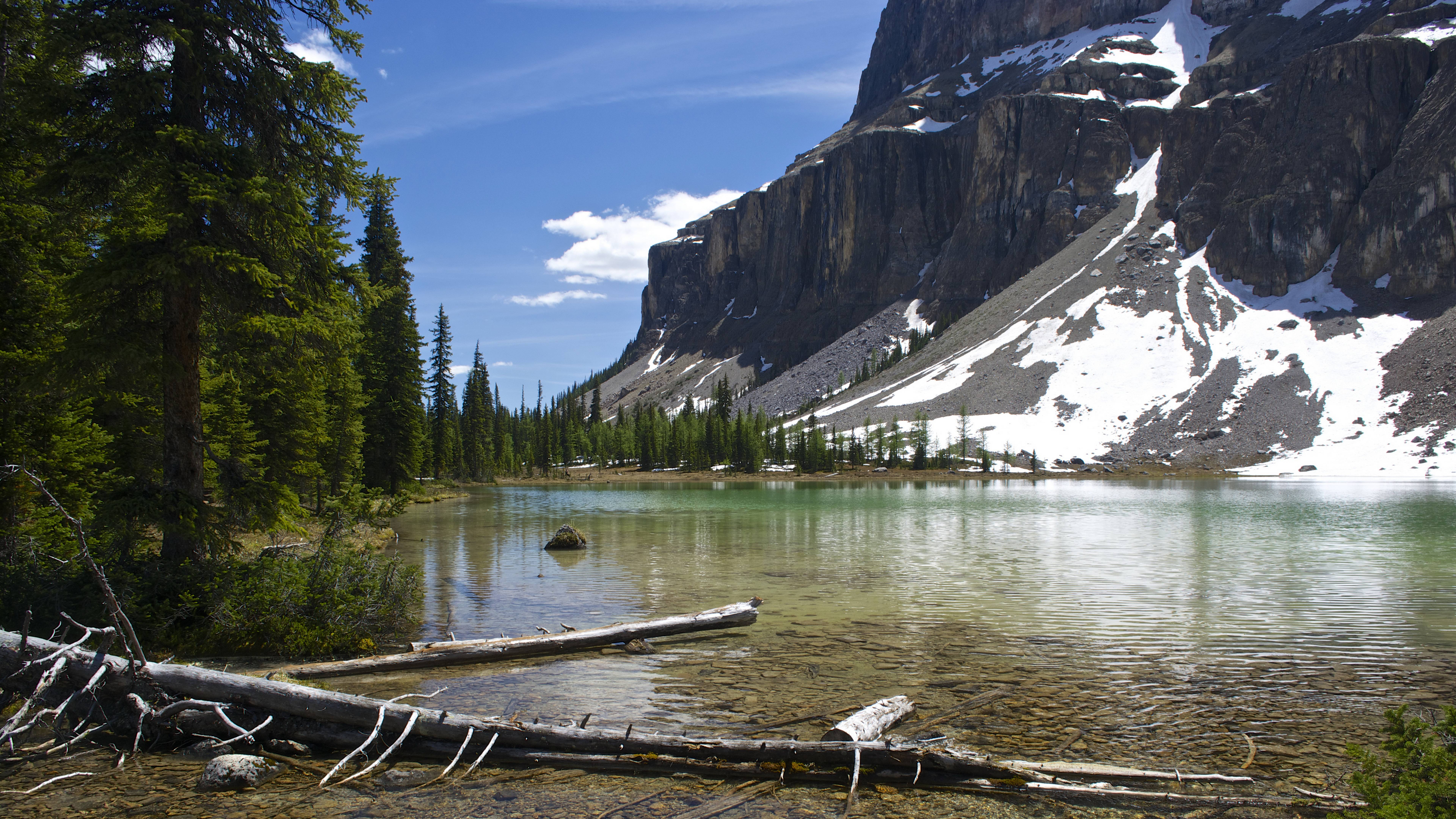 7680x4320 Wallpapers - Top Free 7680x4320 Backgrounds - WallpaperAccess