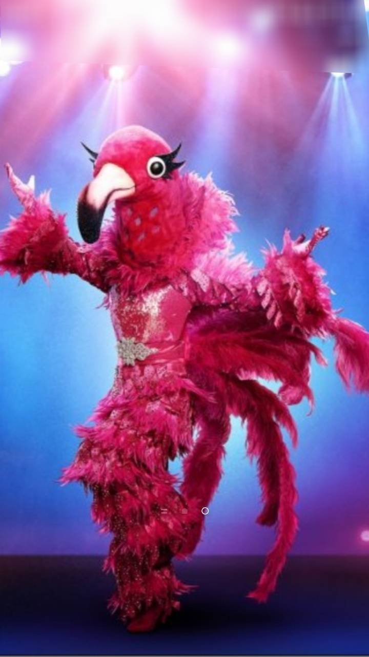 Masked Singer Wallpapers - Top Free Masked Singer Backgrounds ...