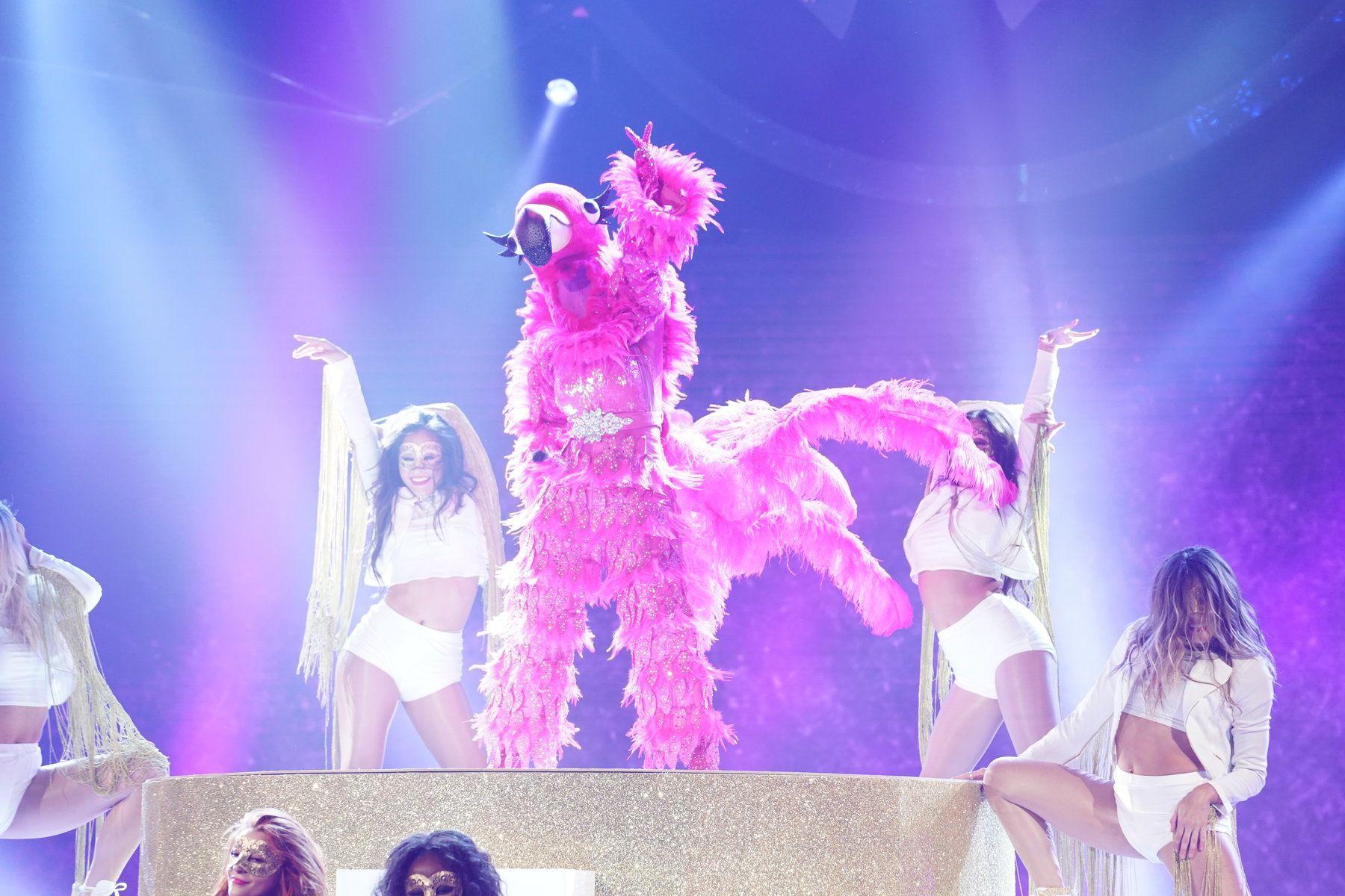 Masked Singer Wallpapers - Top Free Masked Singer Backgrounds ...