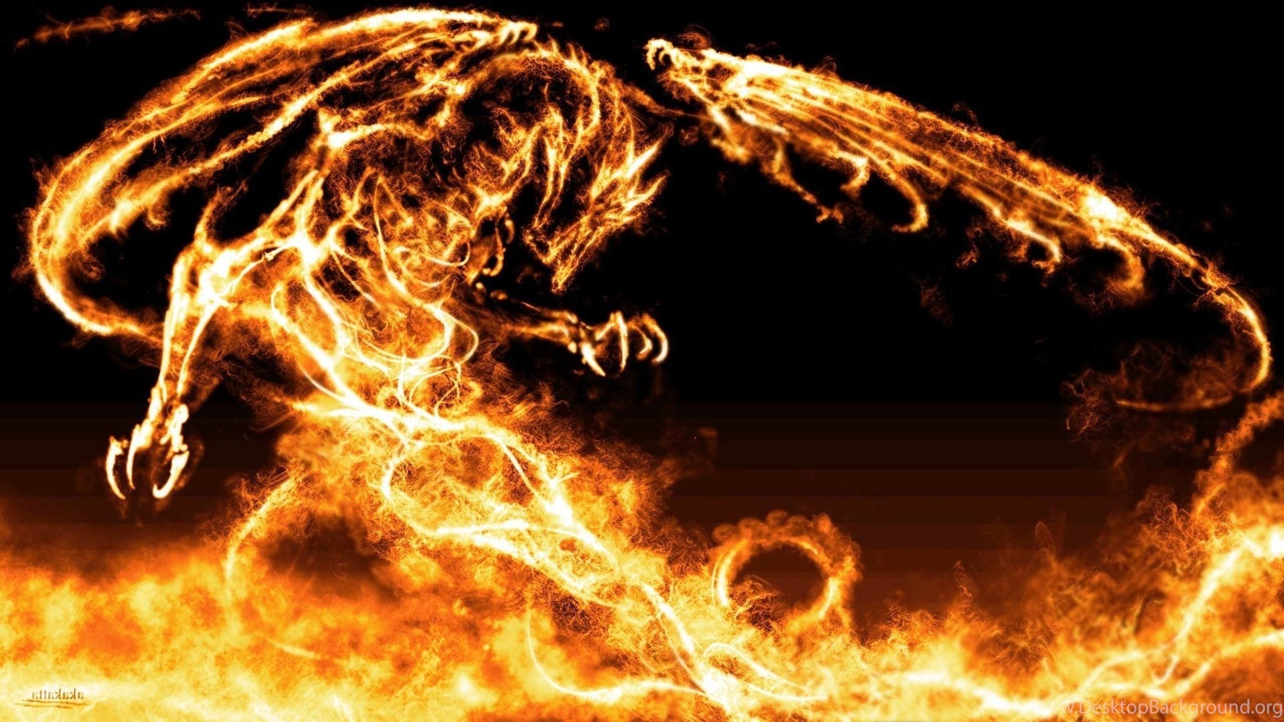 Flame Dragon Wallpapers - Top Free Flame Dragon Backgrounds ...