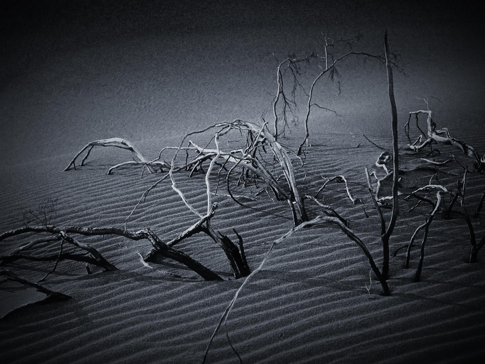 Nihilism Wallpapers - Top Free Nihilism Backgrounds - WallpaperAccess